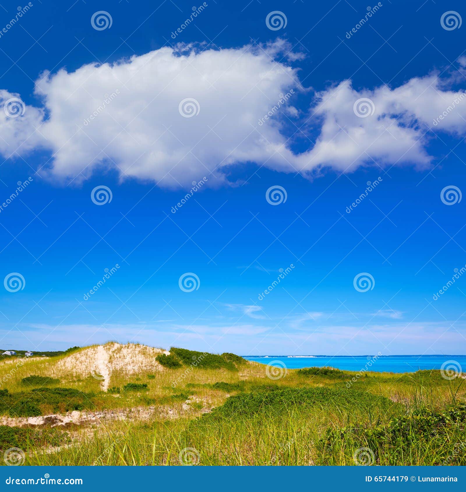 Cape Cod Sandy Neck Beach Massachusetts US Stock Image - Image of ...