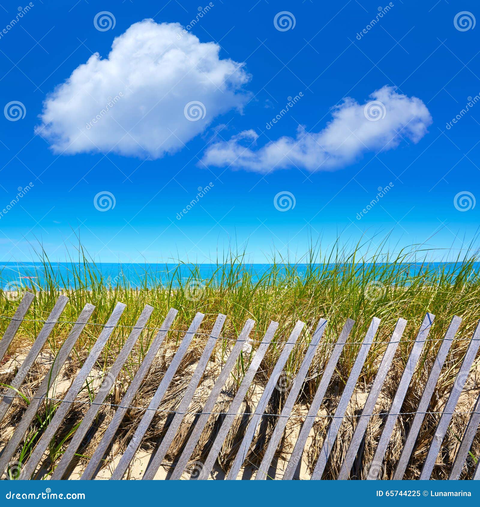 Cape Cod Sandy Neck Beach Massachusetts US Stock Image - Image of neck ...