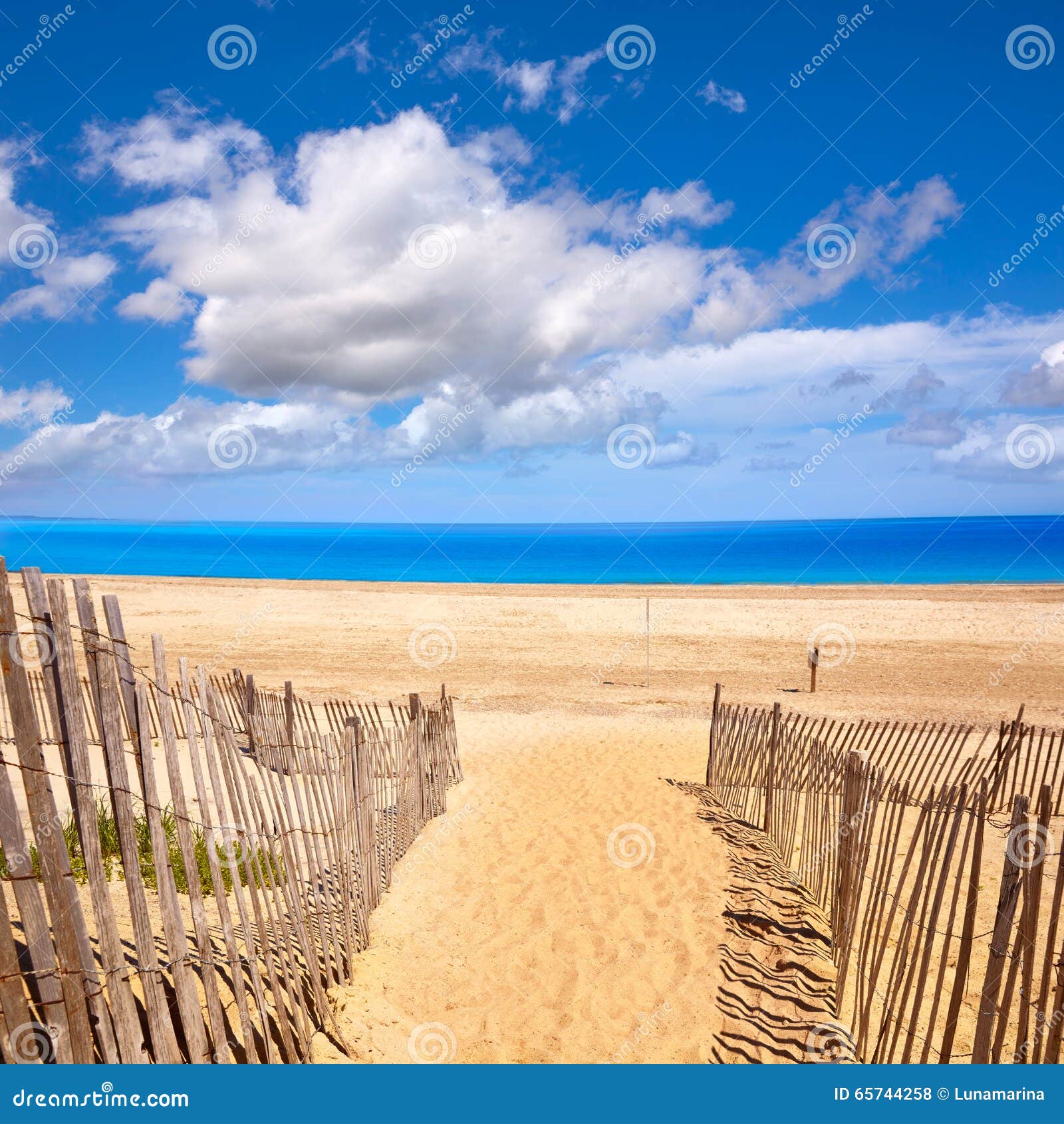 Cape Cod Sandy Neck Beach Massachusetts US Stock Photo - Image of coast ...