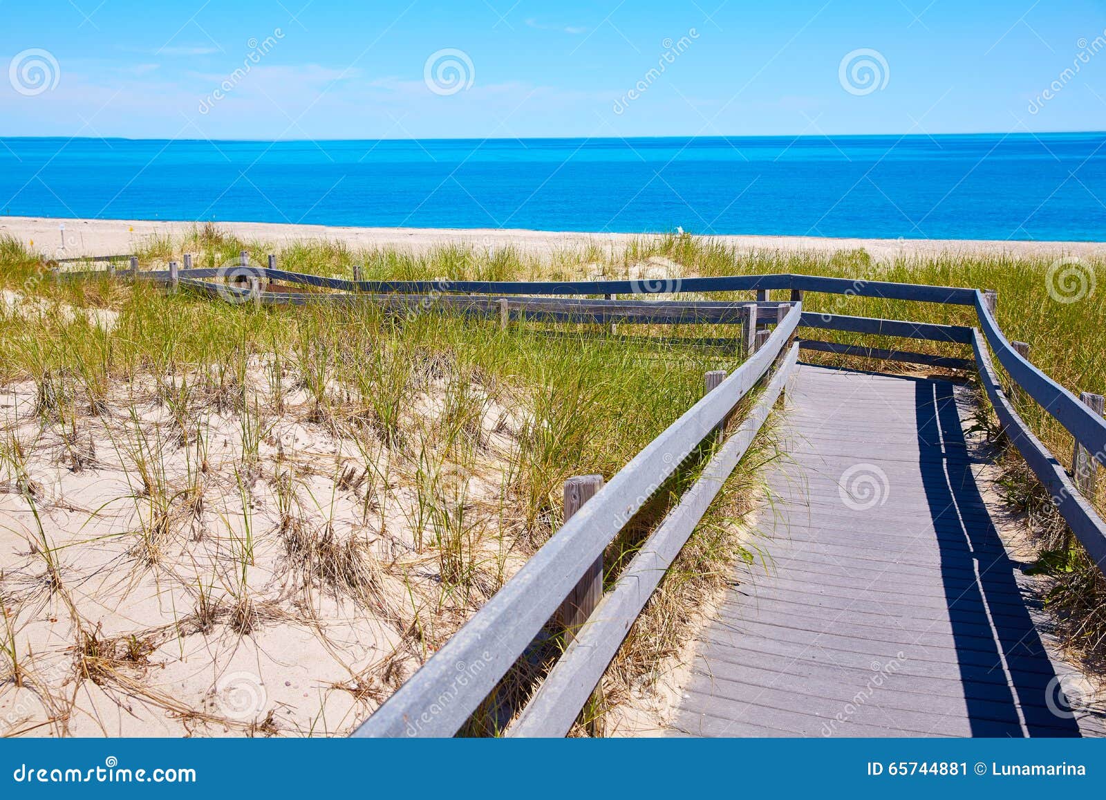 Cape Cod Sandy Neck Beach Massachusetts US Stock Image - Image of ...