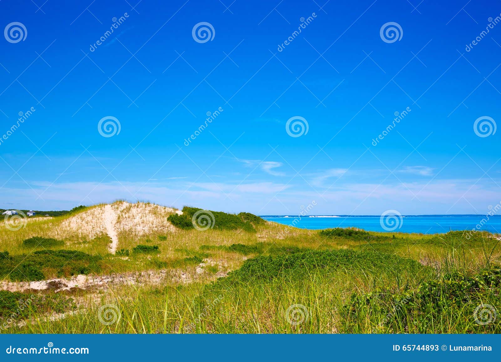 Cape Cod Sandy Neck Beach Massachusetts US Stock Image - Image of ...