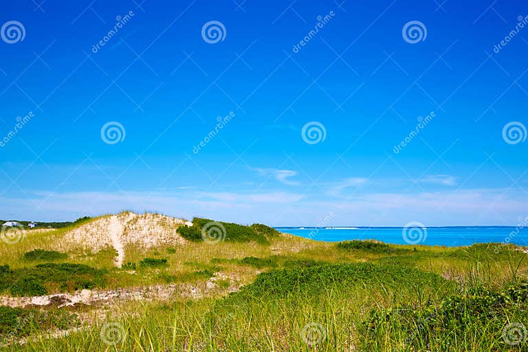 Cape Cod Sandy Neck Beach Massachusetts US Stock Image - Image of ...
