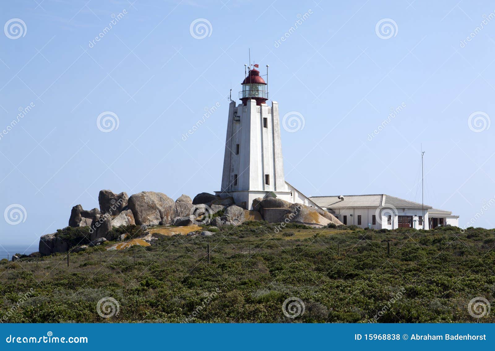 The Paternoster Lighthouse Stand Amongst Wild White Namaqualand Daisies ...