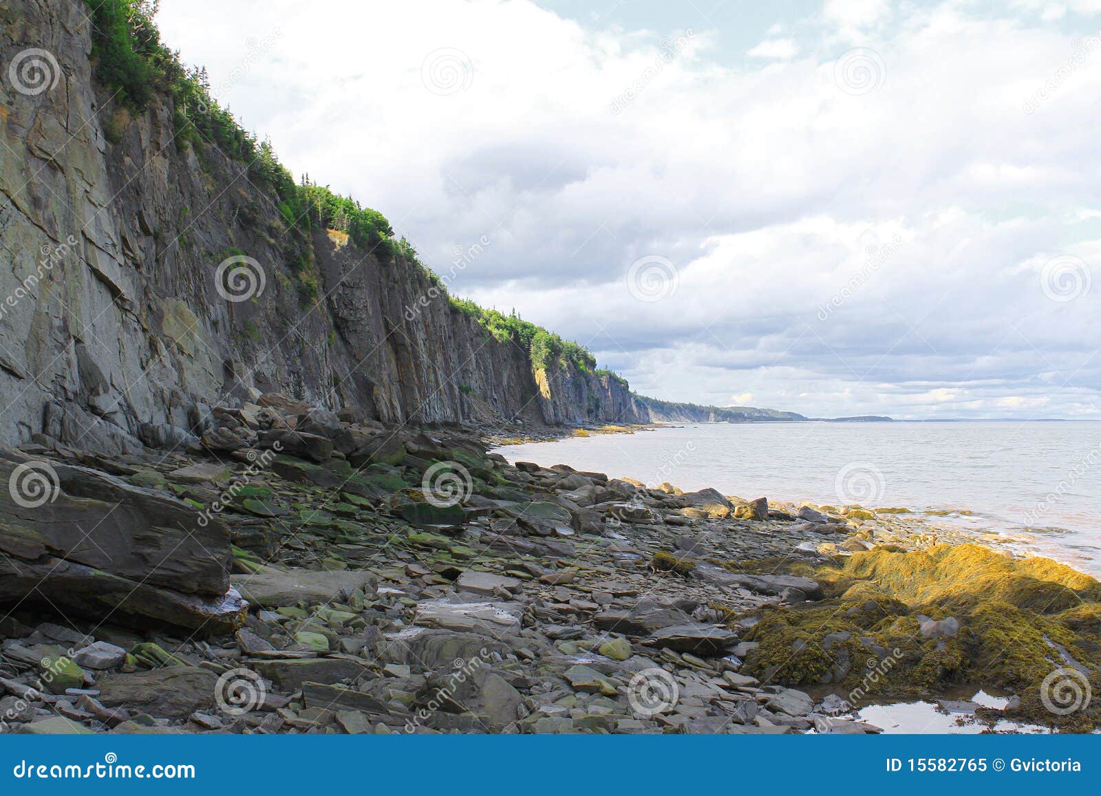 Cape Enrage, New Brunswick, Canada Stock Image - Image of atlantic ...