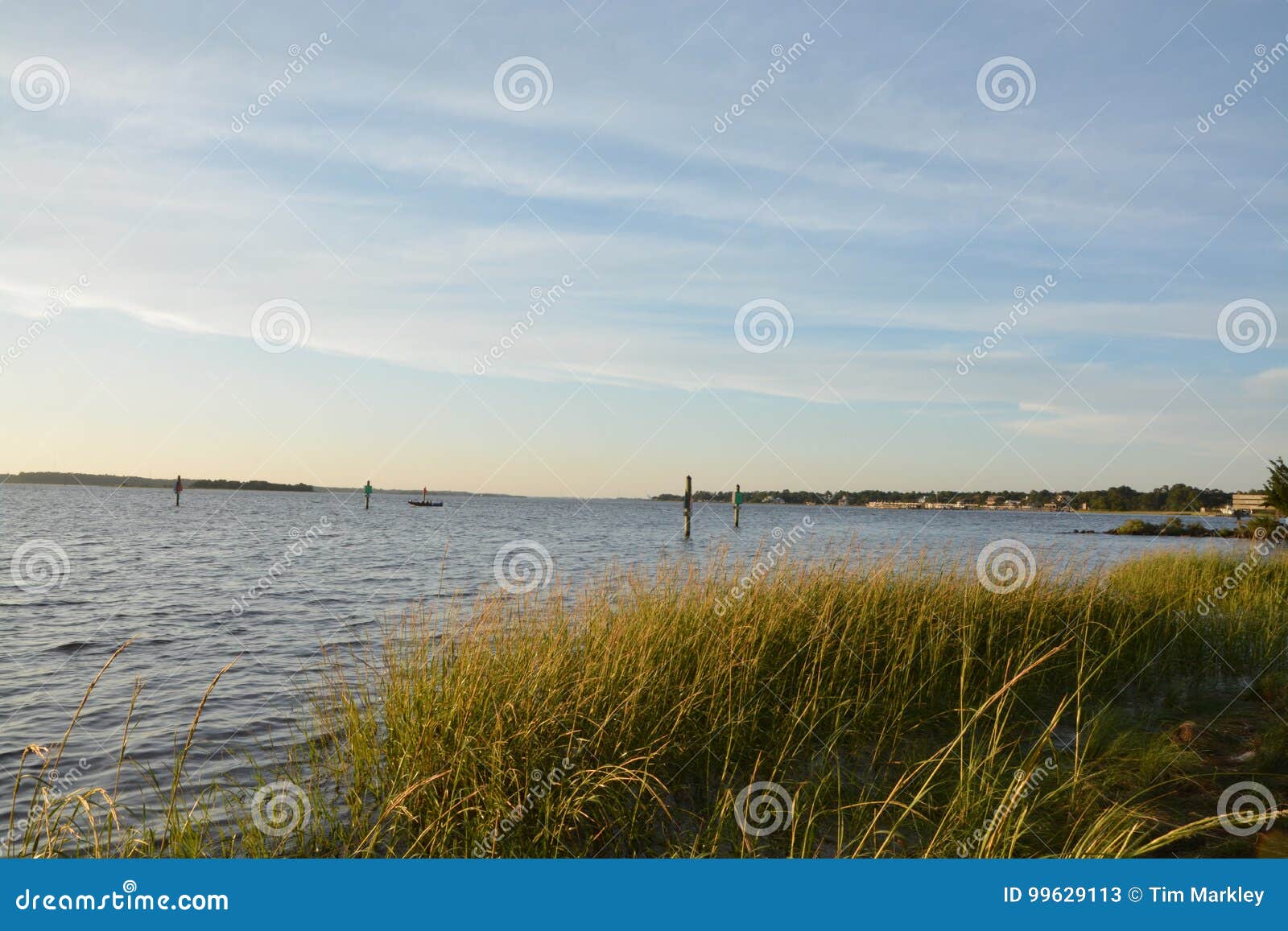 Cape Fear View stock image. Image of north, fear, grass - 99629113