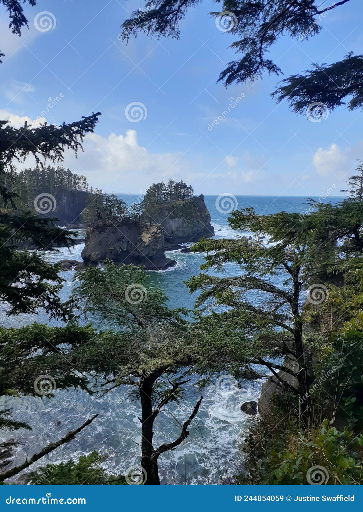 Cape Flattery Washington stock image. Image of tree - 244054059