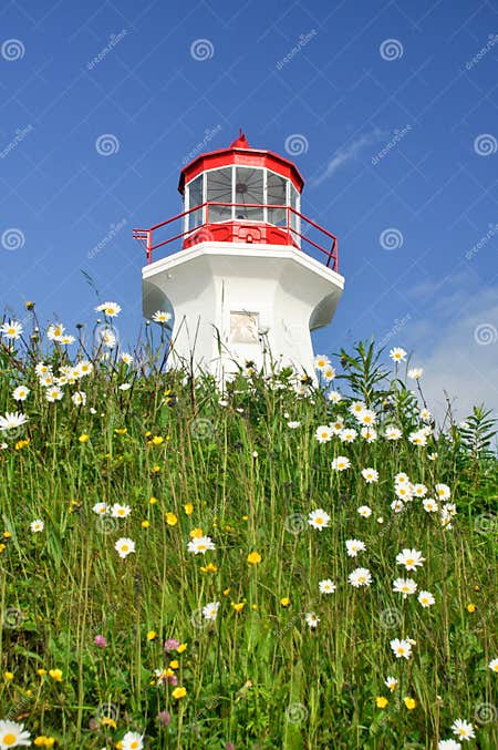 Cape Gaspe Lighthouse, Quebec Stock Image - Image of canada, daisy ...
