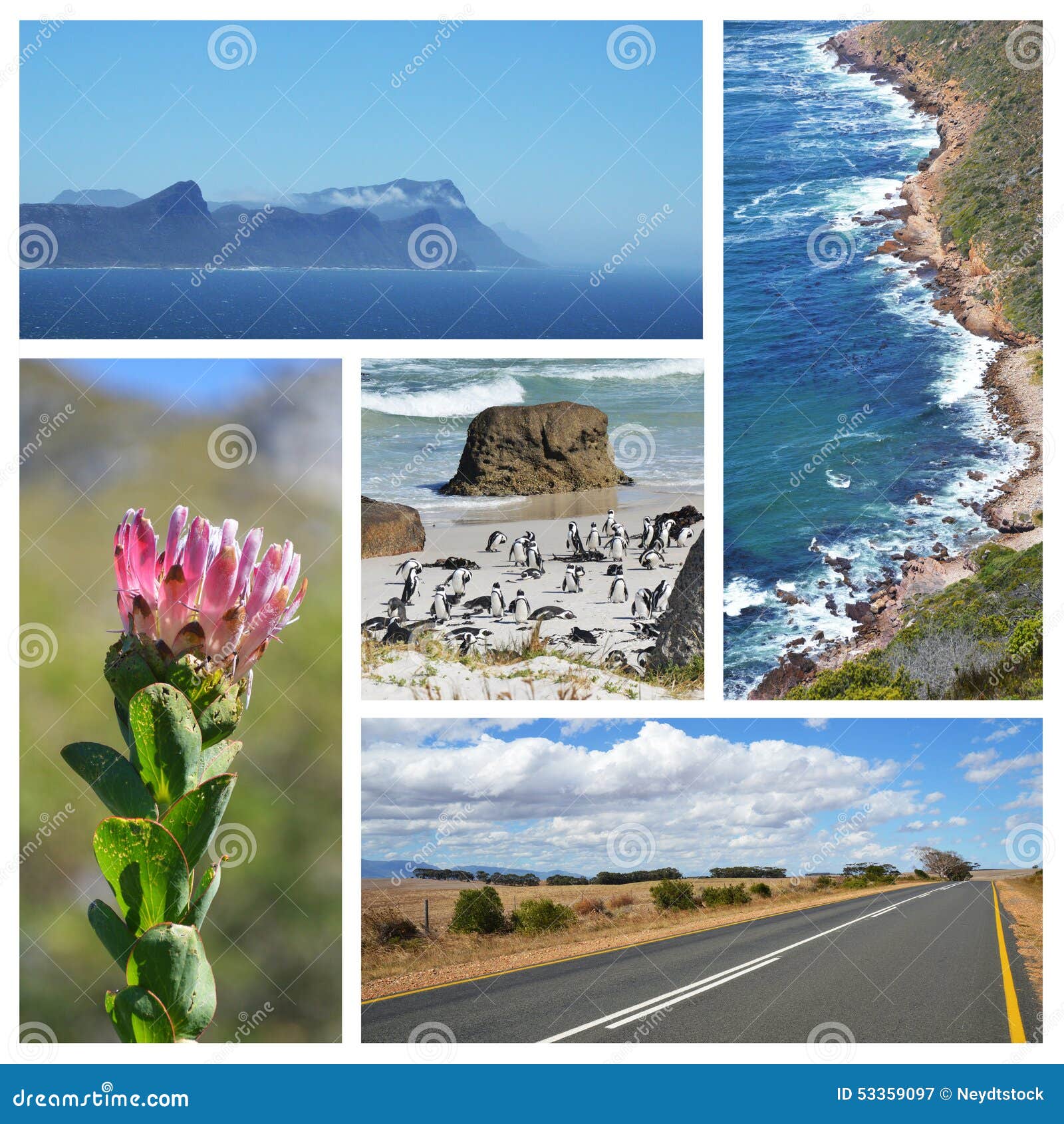 Cape of good hope collage stock image. Image of african - 53359097