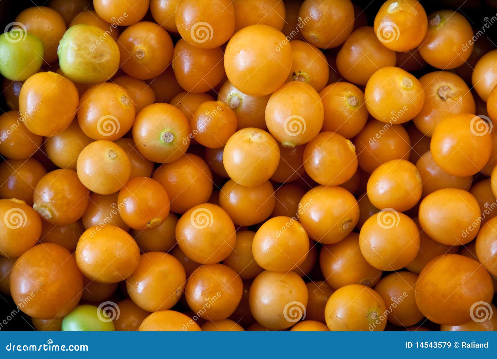 Cape gooseberries stock image. Image of healthy, yellow - 14543579