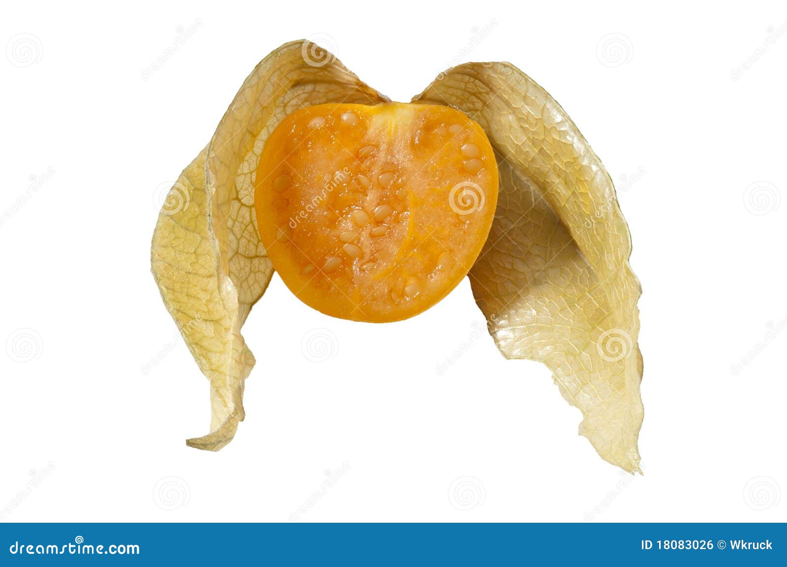 Cape gooseberry stock photo. Image of nature, ripe, white - 18083026