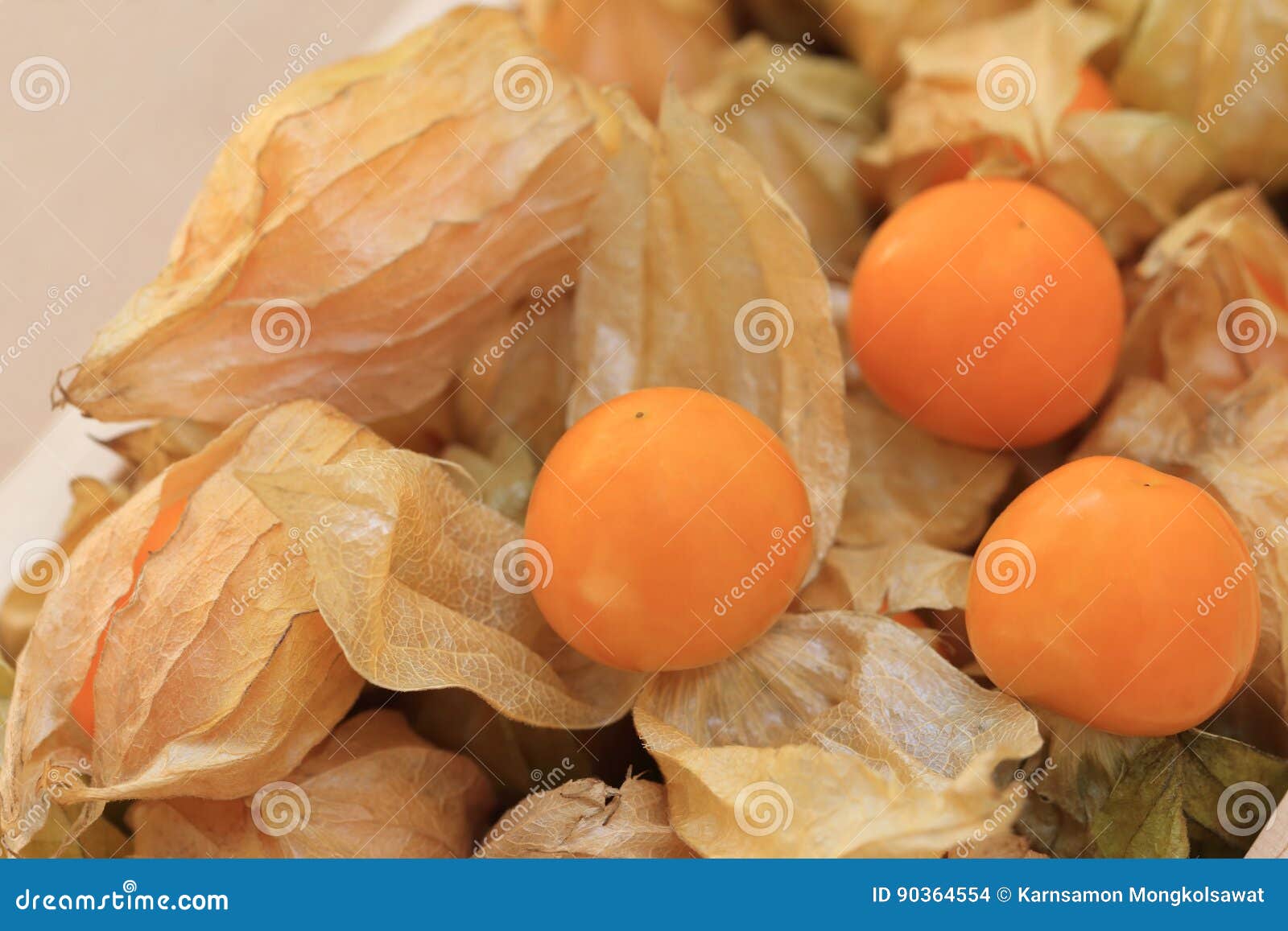 Cape Gooseberry, Disclose Leaf To See the Fruit Inside Stock Photo ...