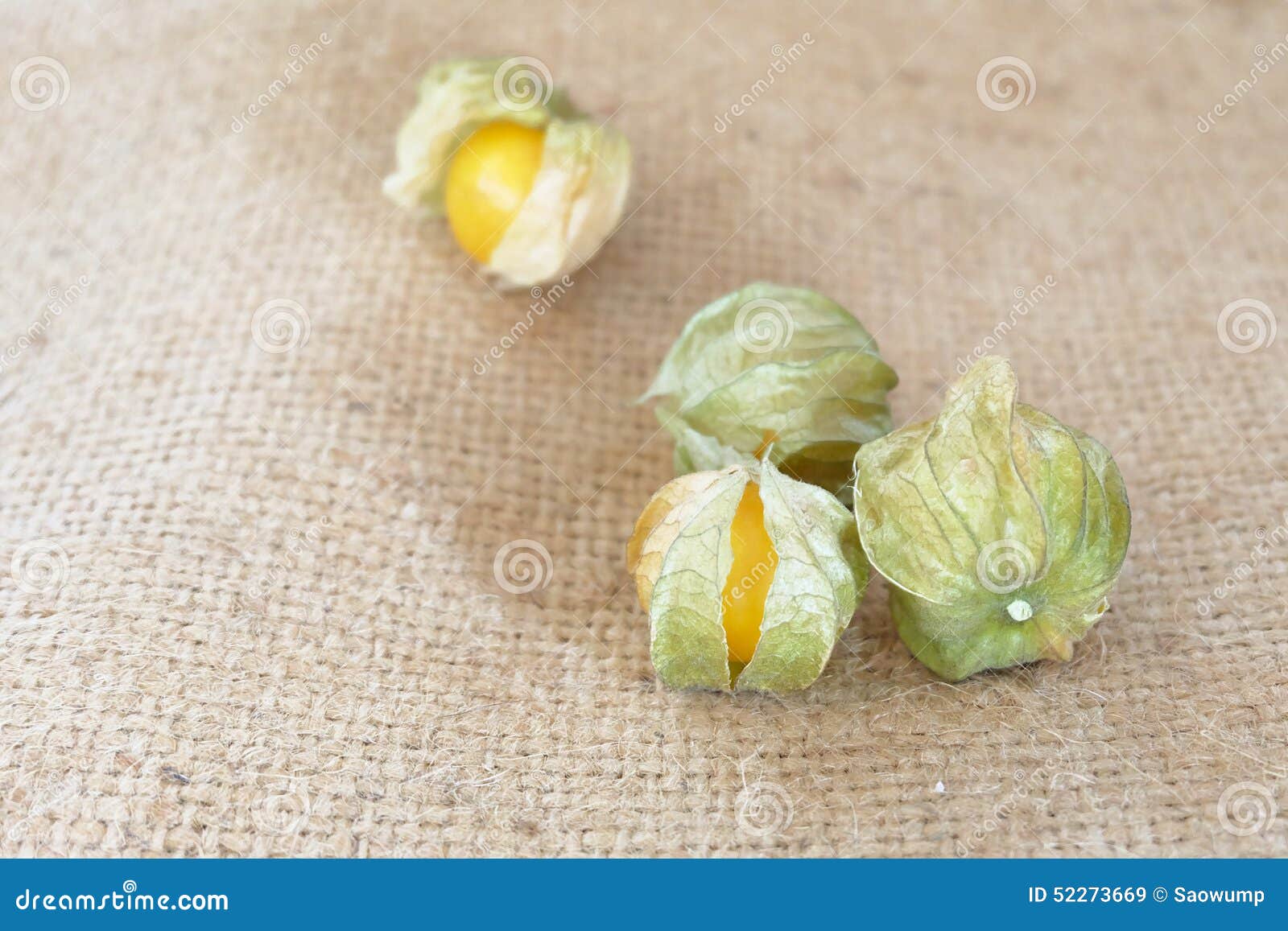 Cape gooseberry fruit stock image. Image of gooseberry - 52273669