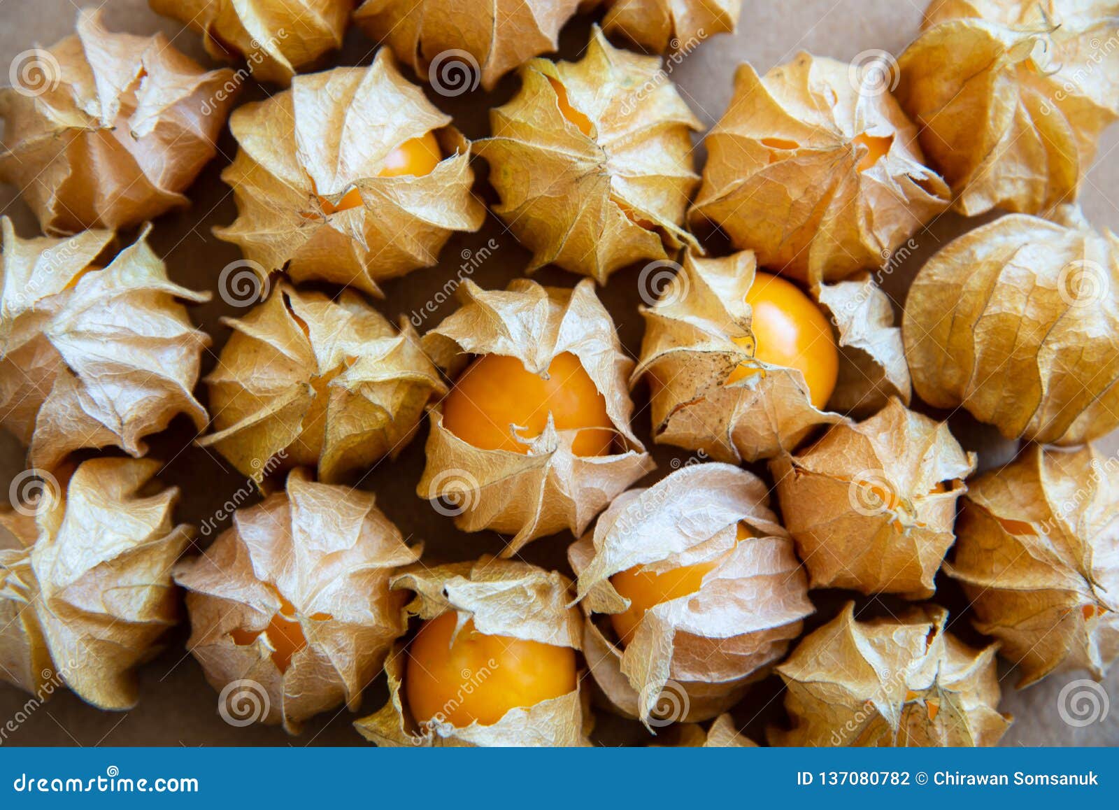 Cape Gooseberry Fruit on Wood Texture Stock Photo - Image of leaf ...