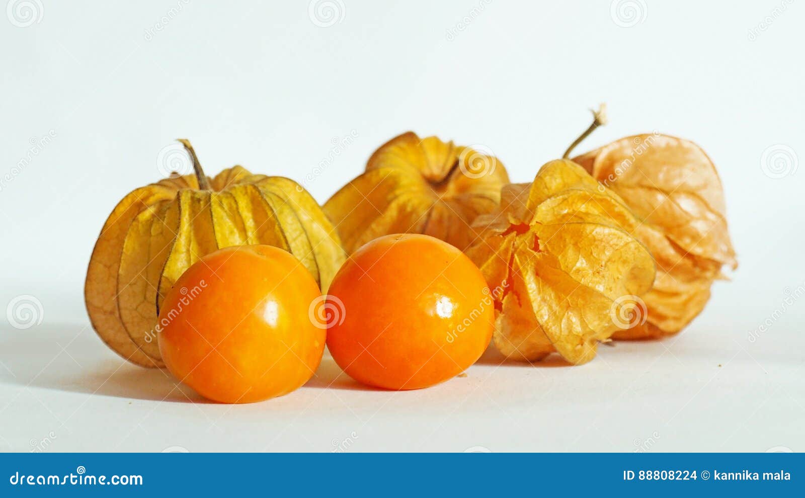 Cape gooseberry stock photo. Image of cape, gooseberry - 88808224