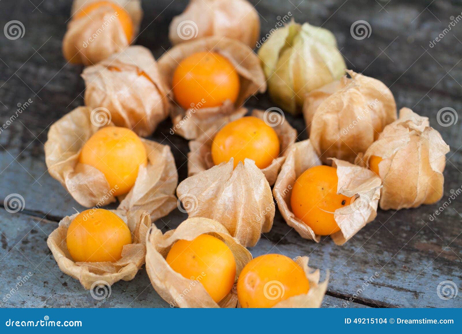 Cape gooseberry stock photo. Image of gooseberry, cape - 49215104