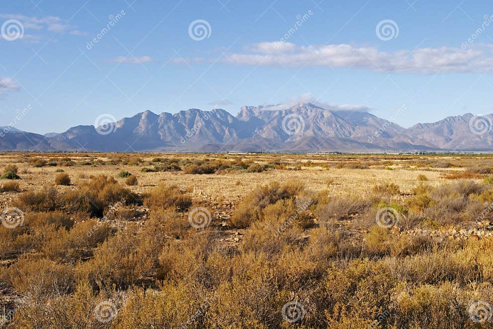 Cape Mountains with Dry Fynbos Stock Image - Image of blue, bushes: 7705939