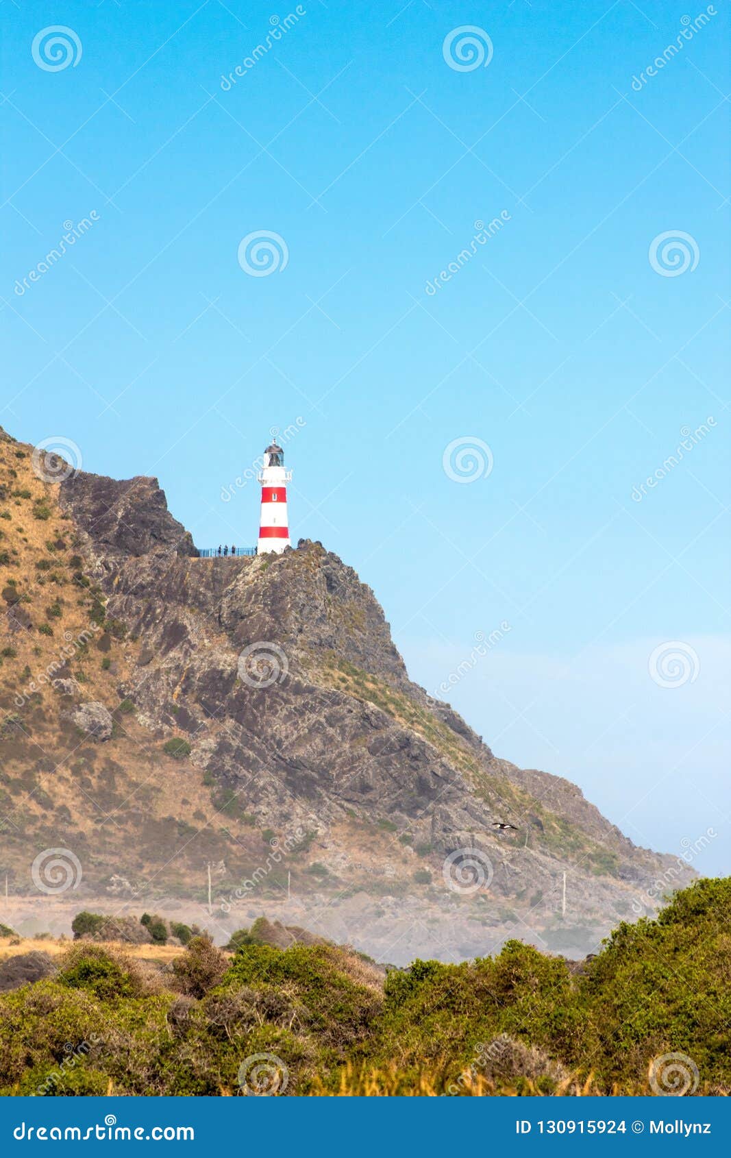 Cape Palliser Lighthouse stock photo. Image of landscape - 130915924