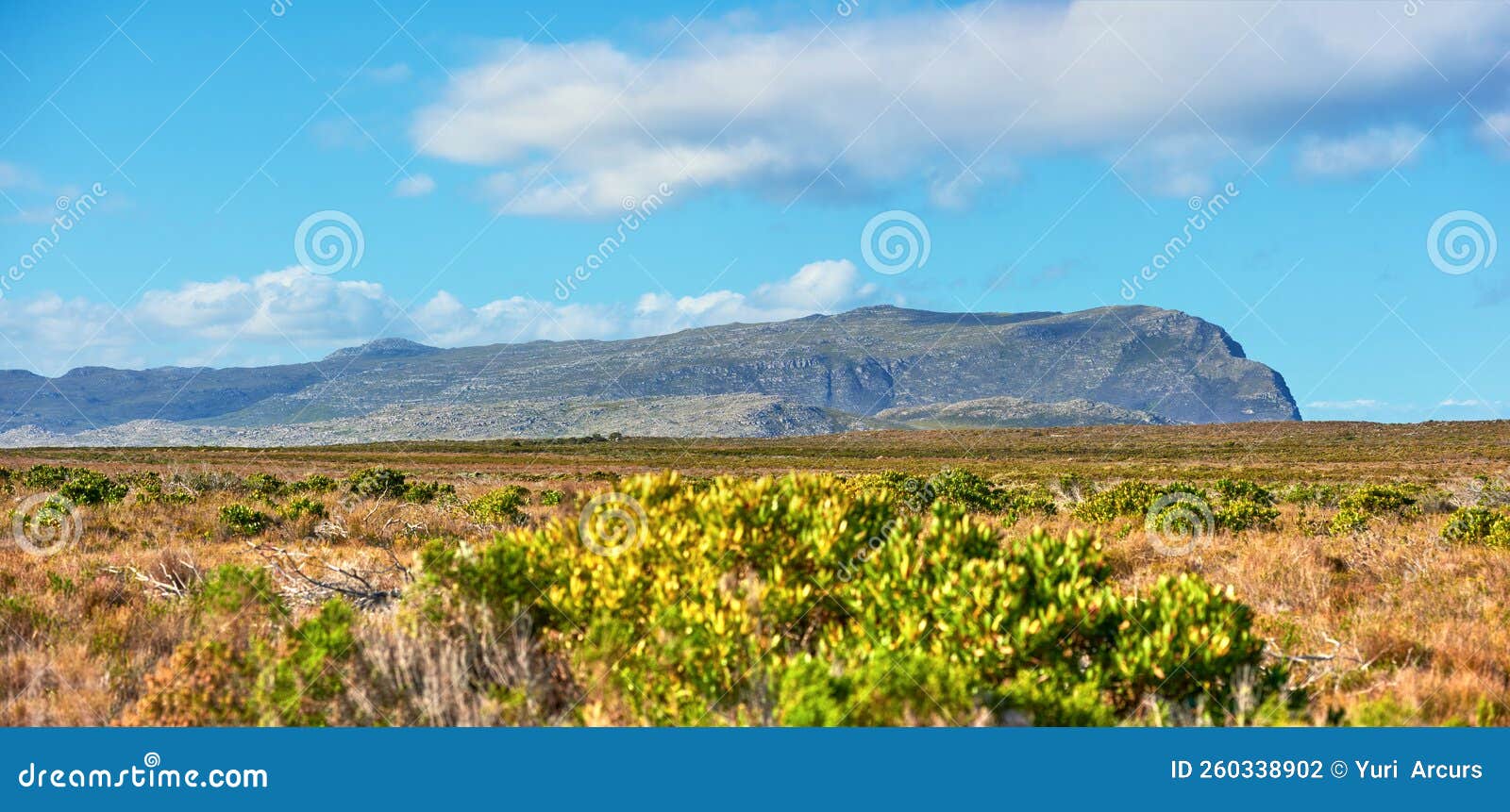 Cape Point National Park. the Wilderness of Cape Point National Park ...