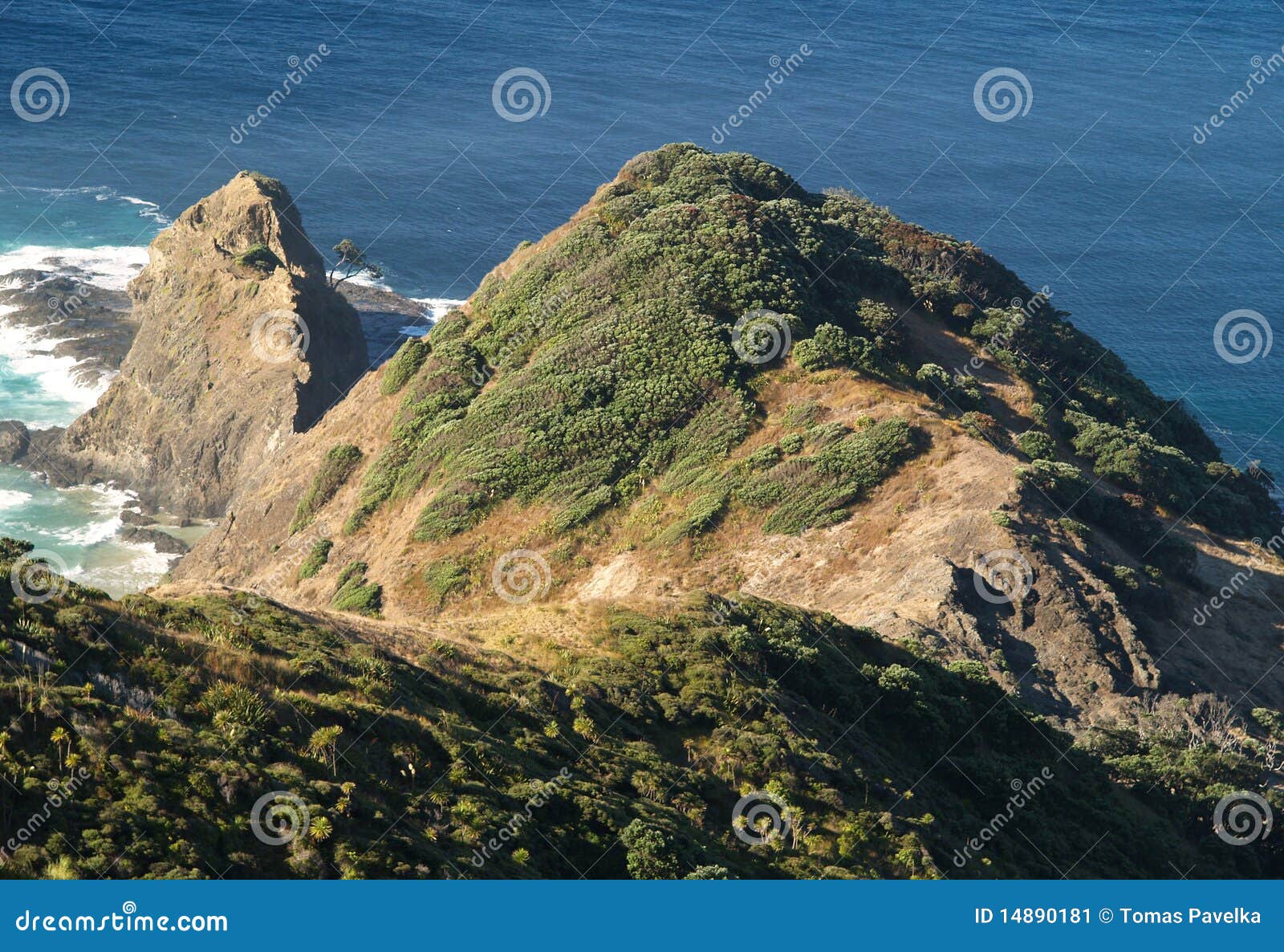 Cape Reinga stock image. Image of forest, wave, tree - 14890181