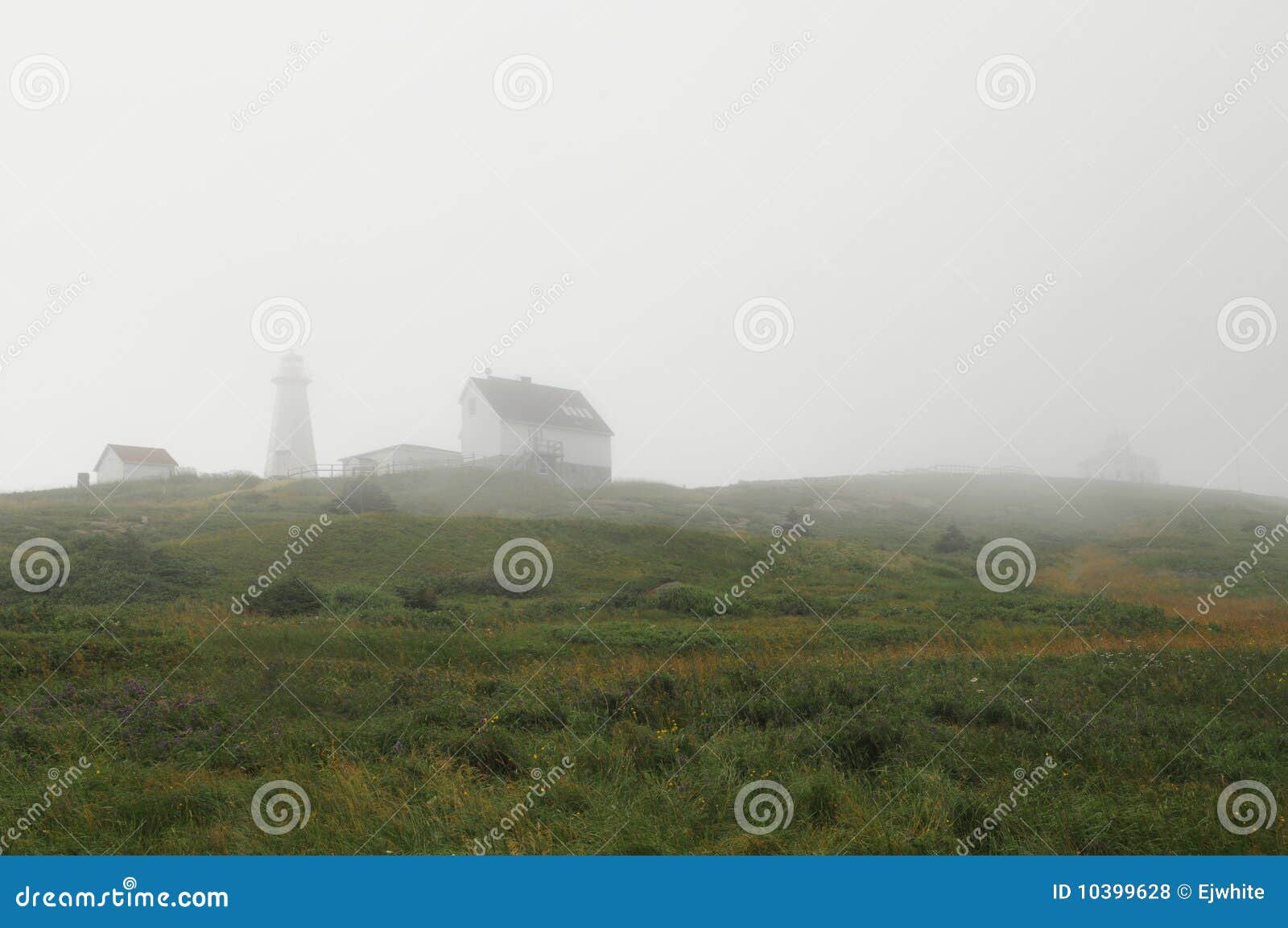 Cape Spear Lighthouse, Newfoundland, in the Fog Stock Photo - Image of ...