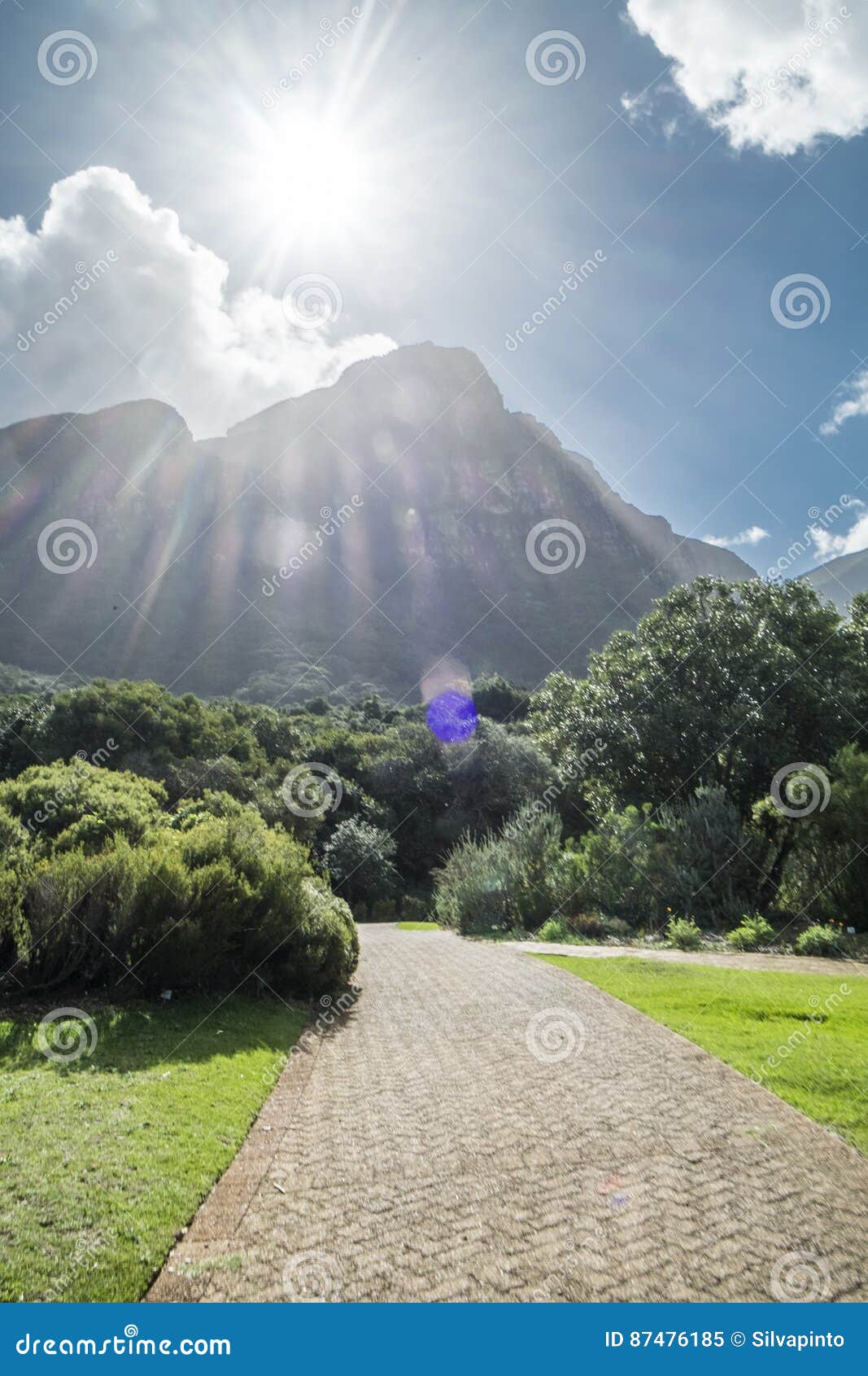 Cape town botanic garden stock image. Image of rest, people - 87476185