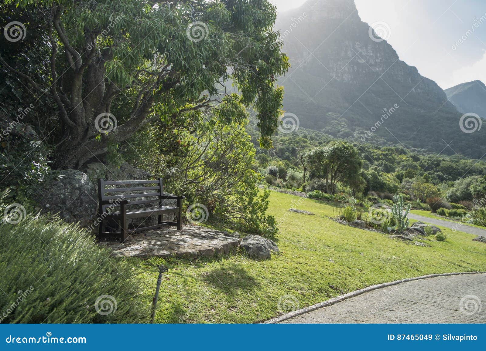 Cape town botanic garden stock image. Image of country - 87465049