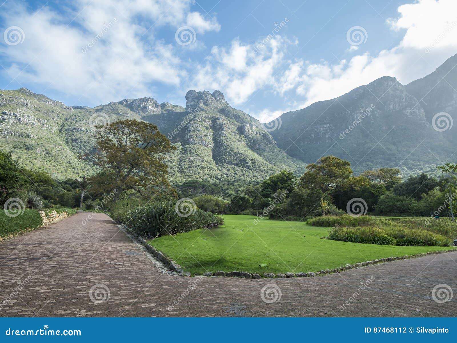 Cape town botanic garden stock photo. Image of icon, cape - 87468112