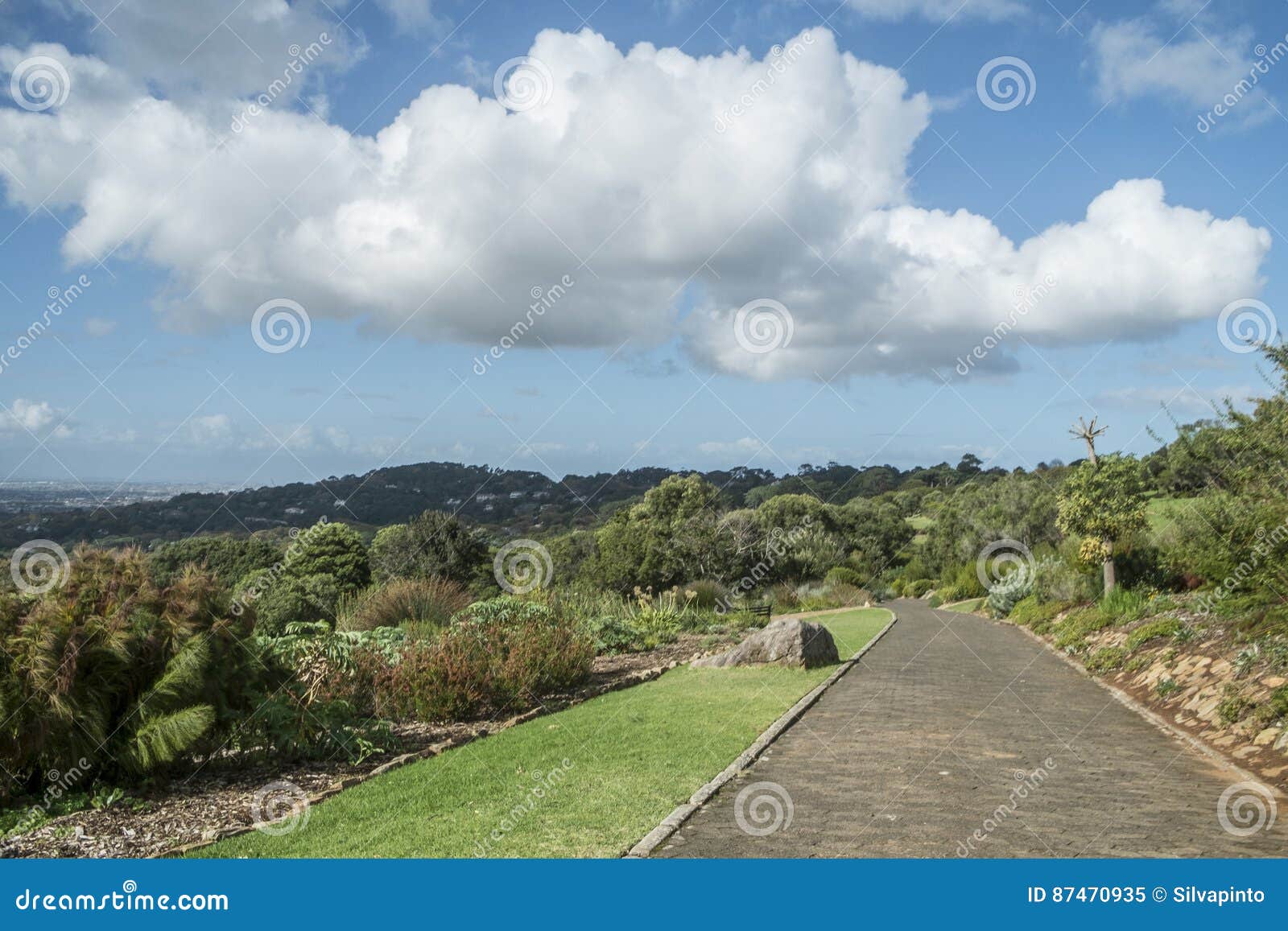 Cape town botanic garden stock image. Image of country - 87470935