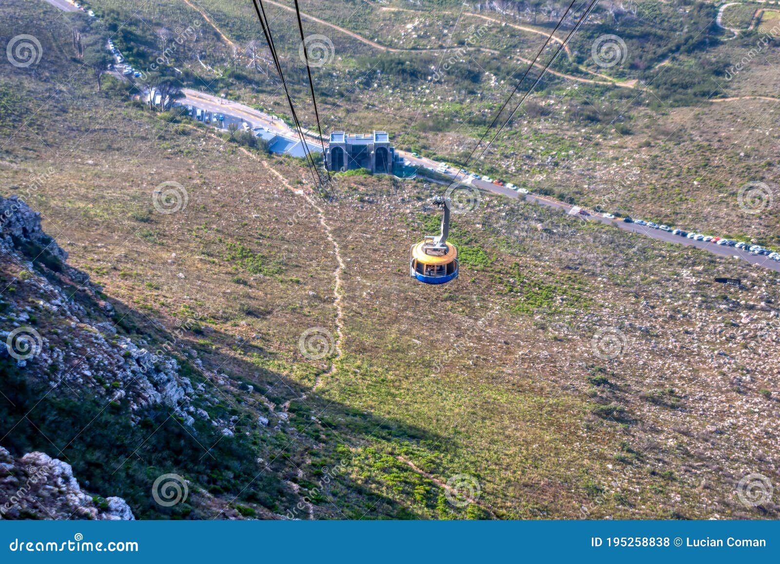 A Cape Cart Is A Two-wheeled Four-seater Carriage Drawn By Two Horses ...