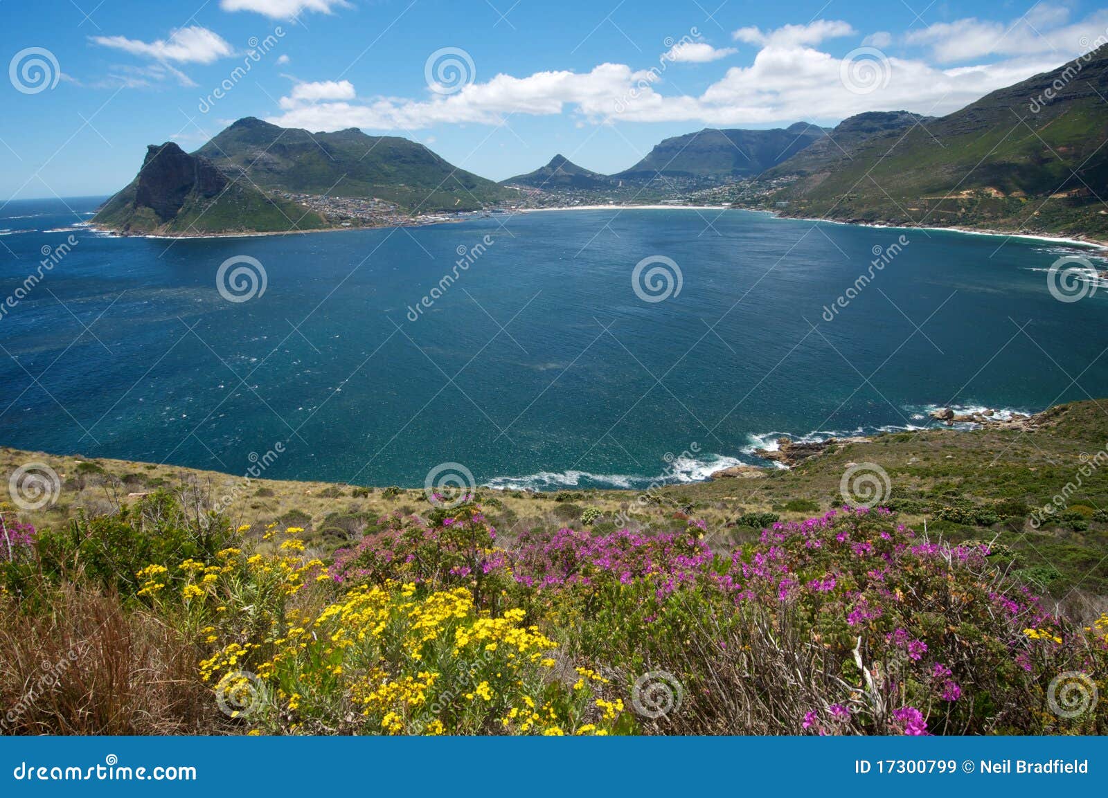 Cape Town Coastal Springtime Stock Image - Image of peninsula, cape ...