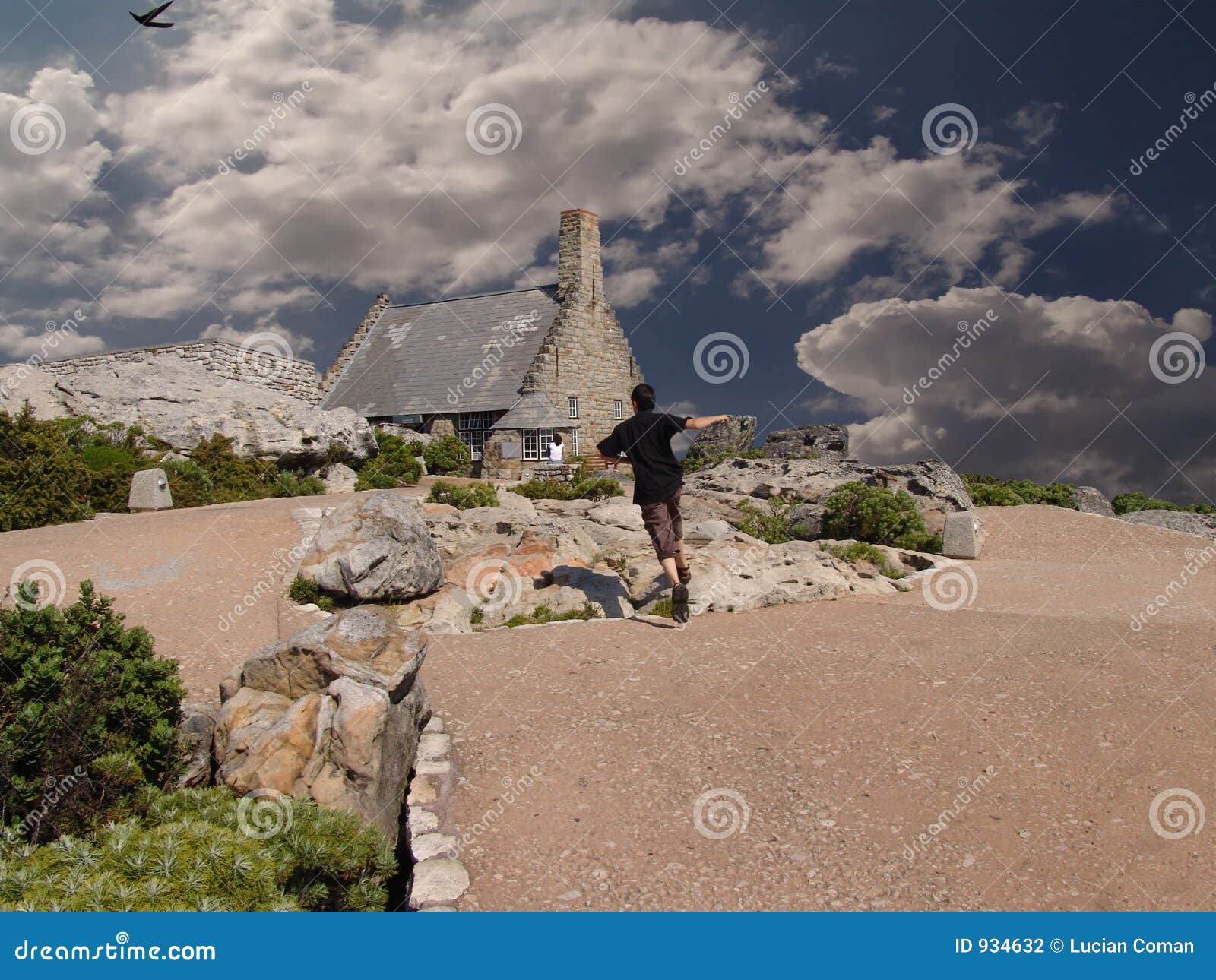 The Cape File Snake Isolated On White Background Royalty-Free Stock ...