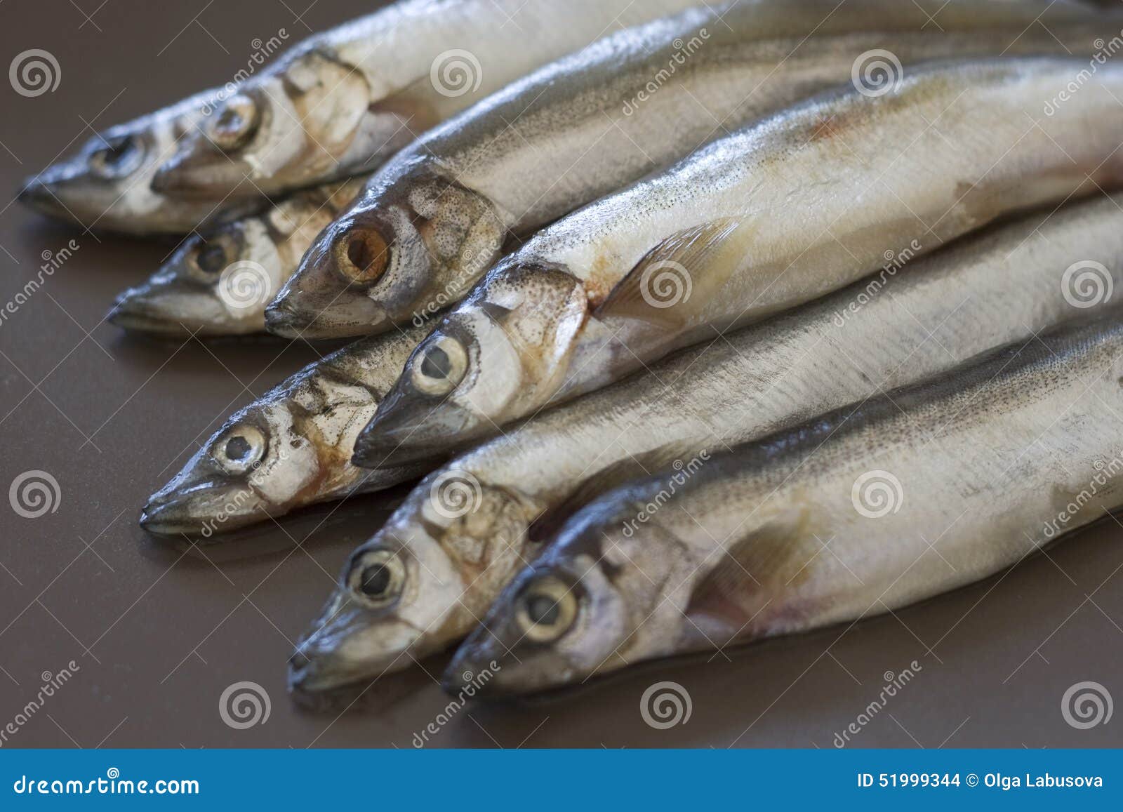 Capelan De Poisson Cru Sur La Table Photo stock - Image du phosphore ...