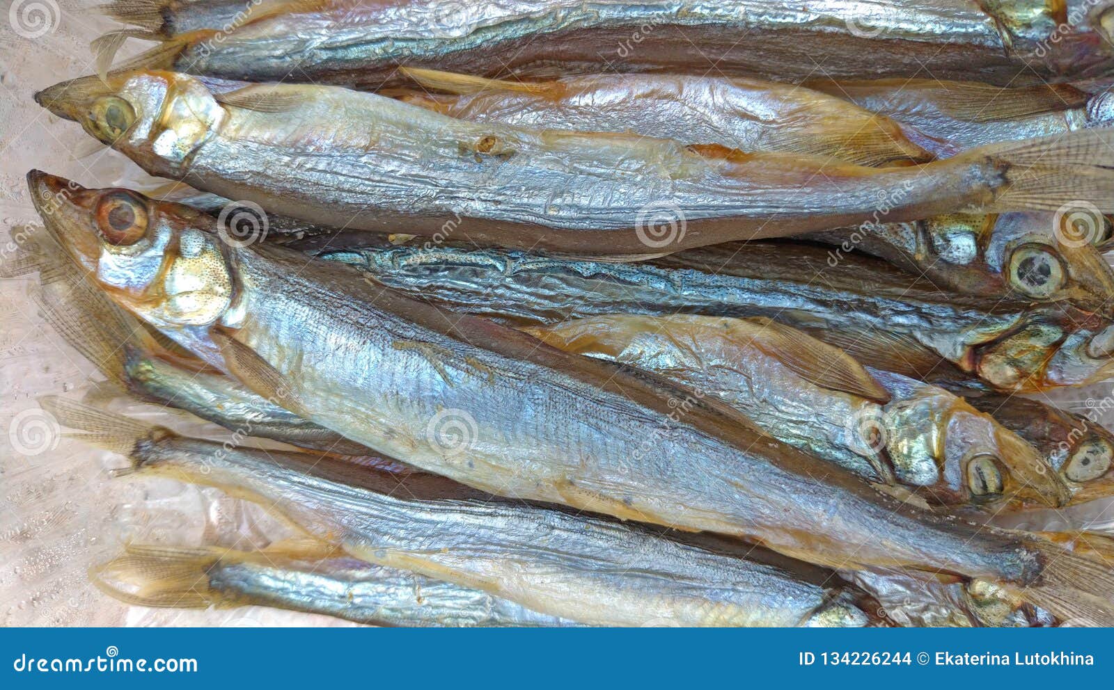 Capelan de poissons photo stock. Image du délicieux - 134226244