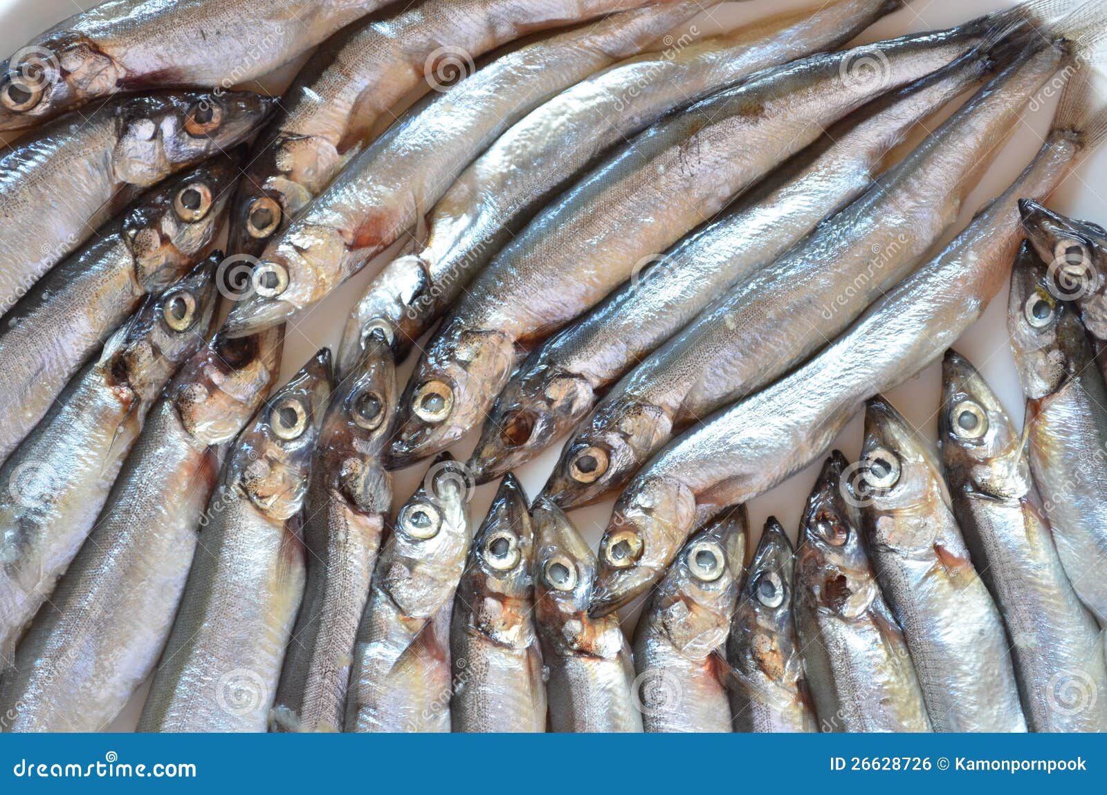 Capelin stock photo. Image of food, mallotus, mouth, freshness - 26628726