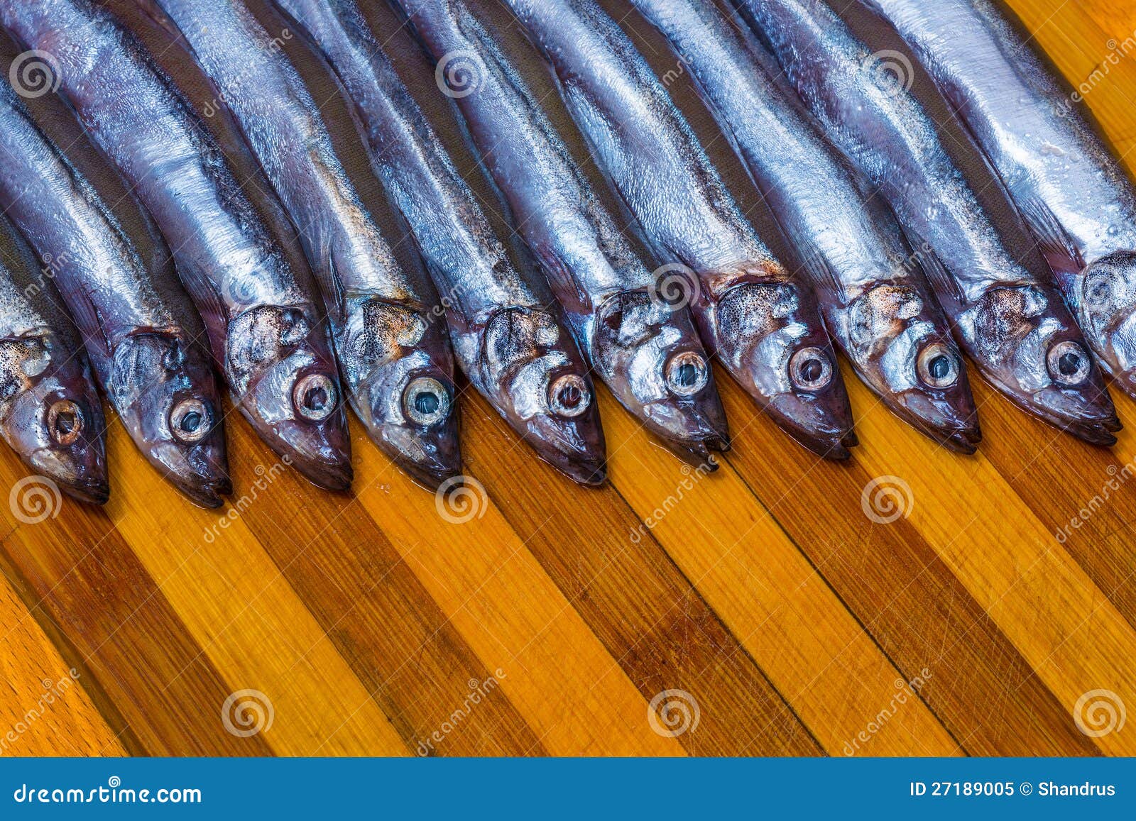 Capelin stock image. Image of coldblooded, desk, group - 27189005