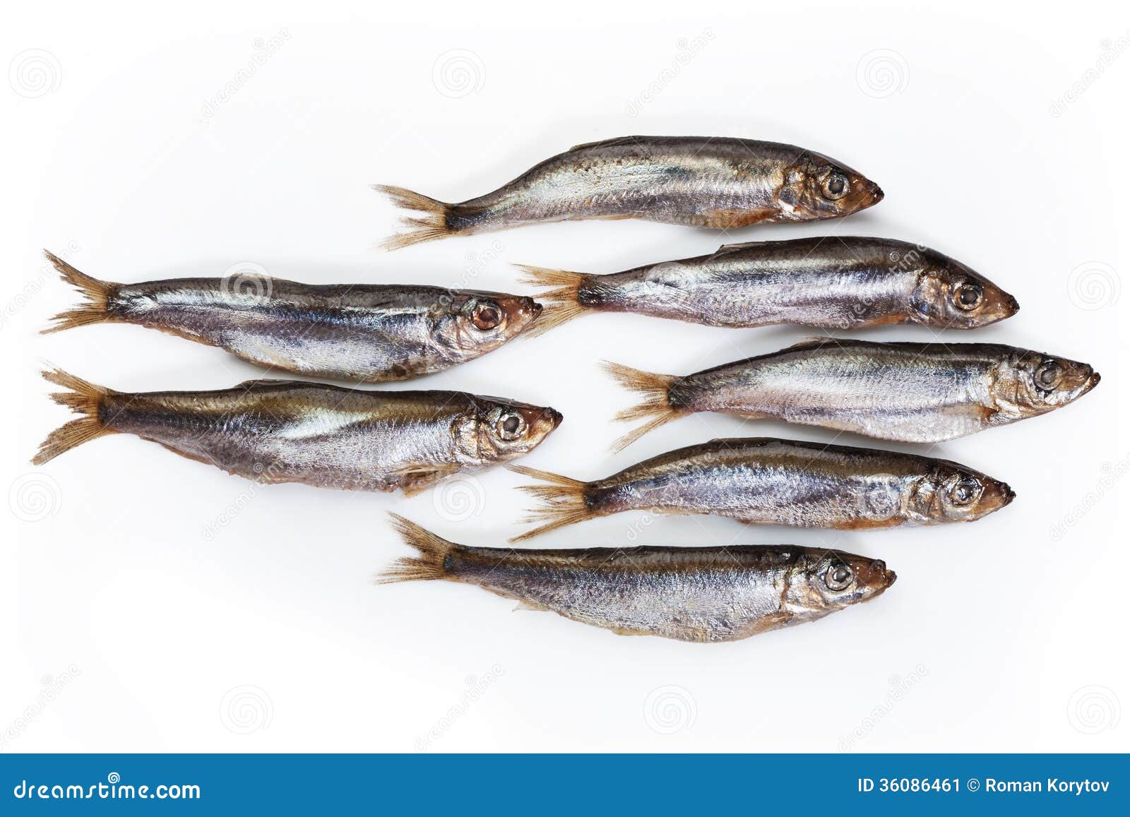 Capelin stock image. Image of food, silver, kipper, eating - 36086461