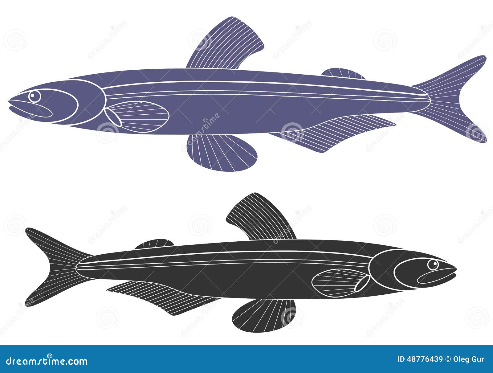 Capelin stock vector. Illustration of element, delicacy - 48776439