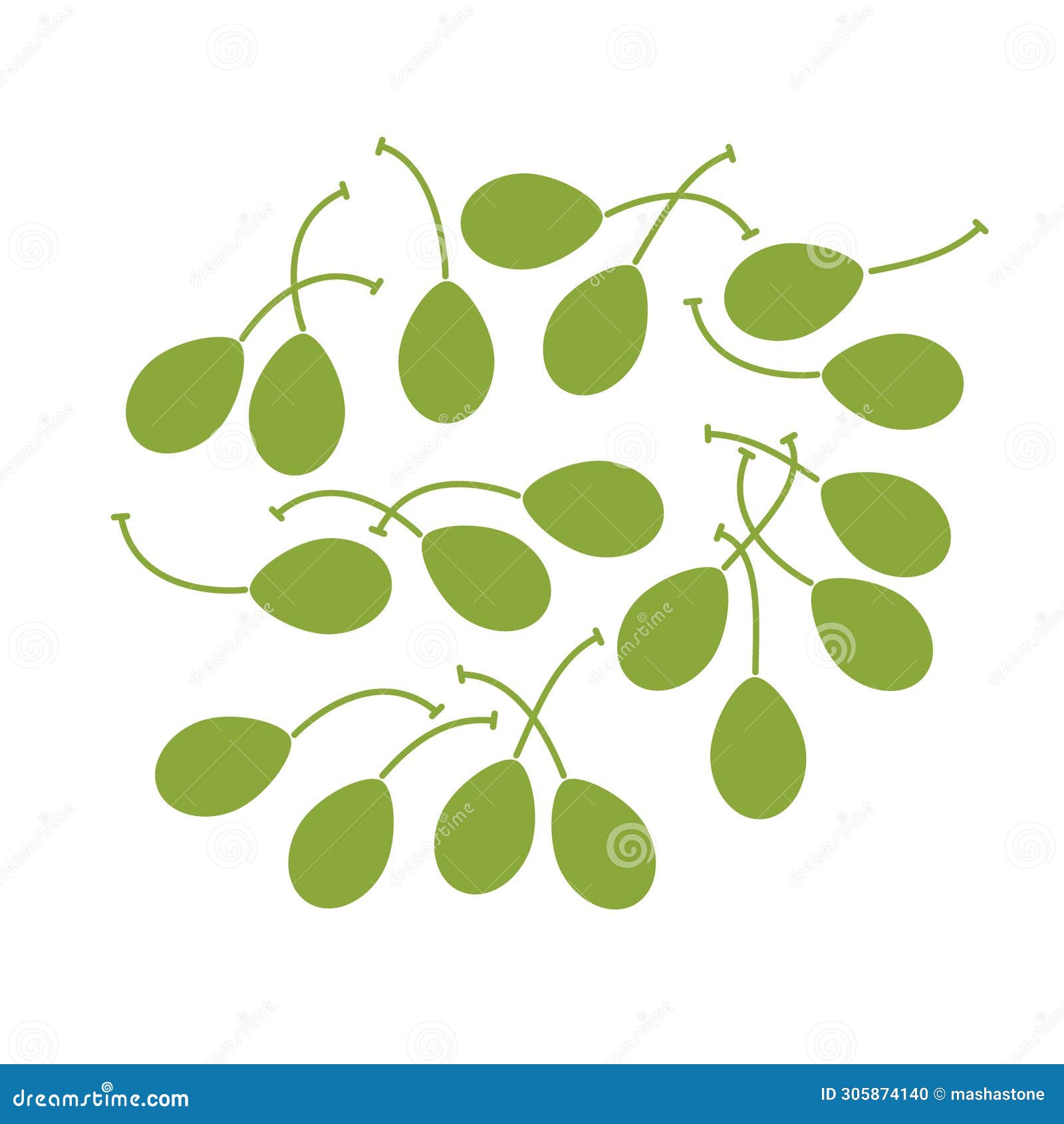 Caper Berries Group. Flat Vector Illustration Isolated on White ...