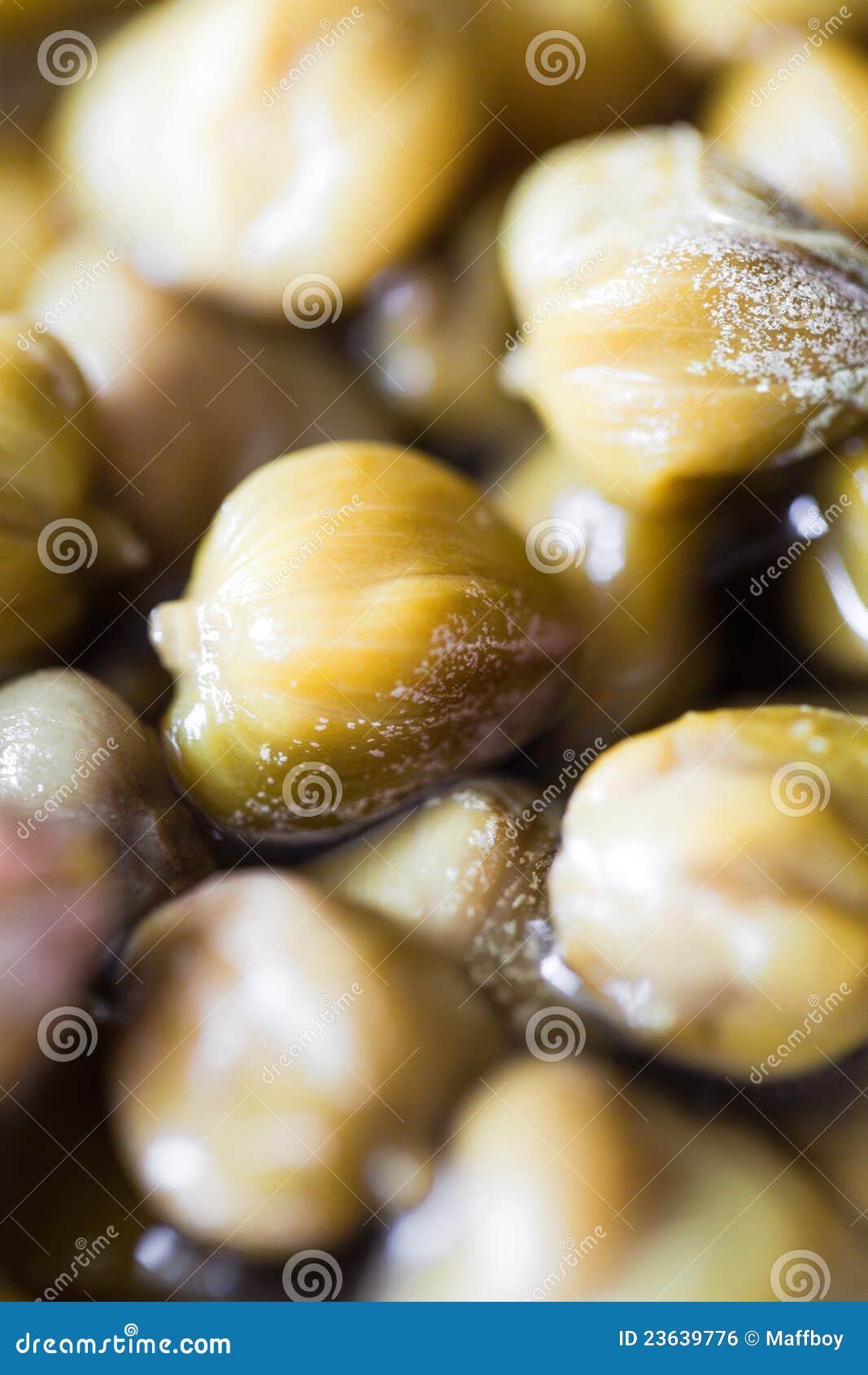 Capers stock photo. Image of seasoning, marinated, salted - 23639776