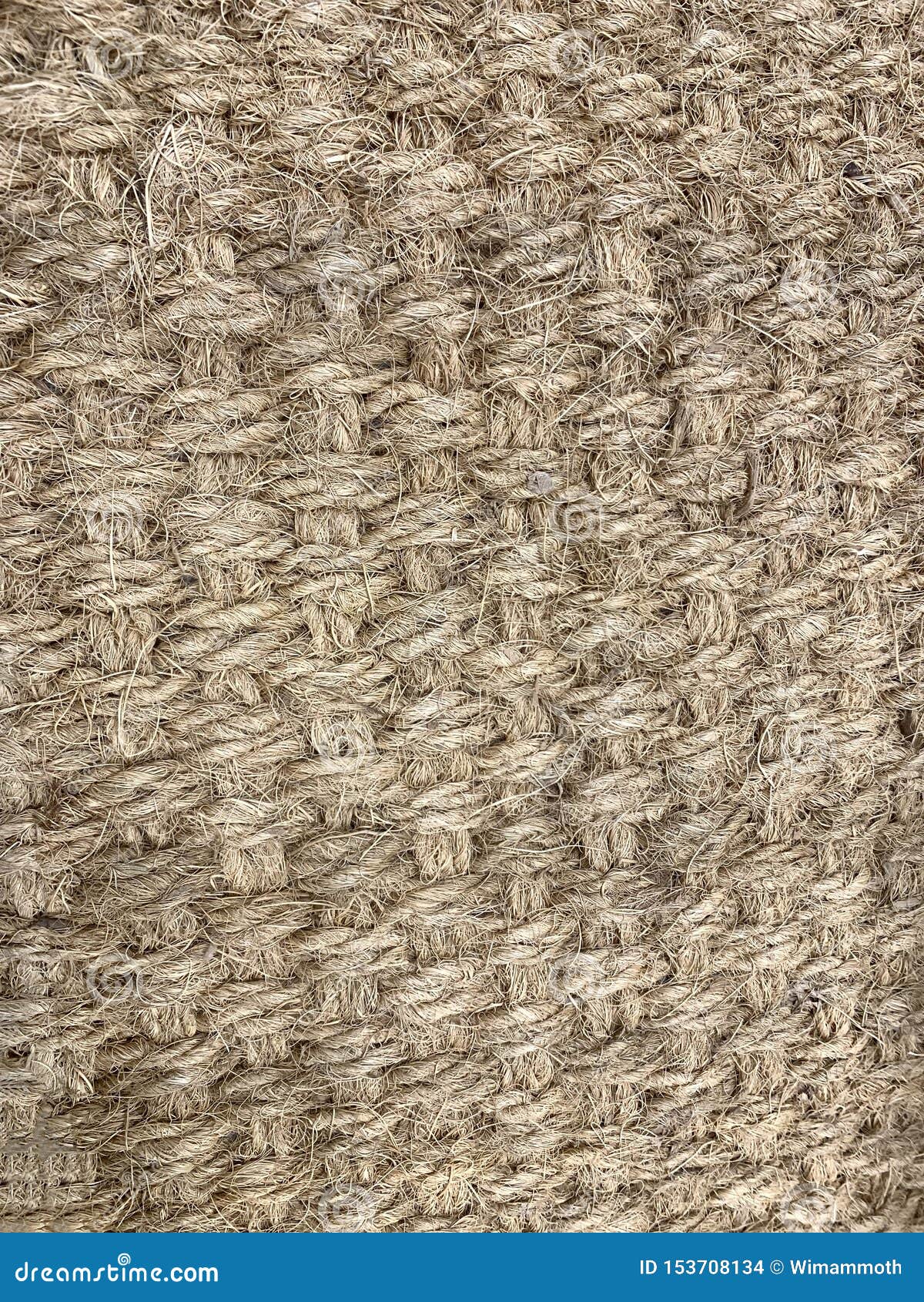 Capet Texture Royalty-Free Stock Photography | CartoonDealer.com #25983749