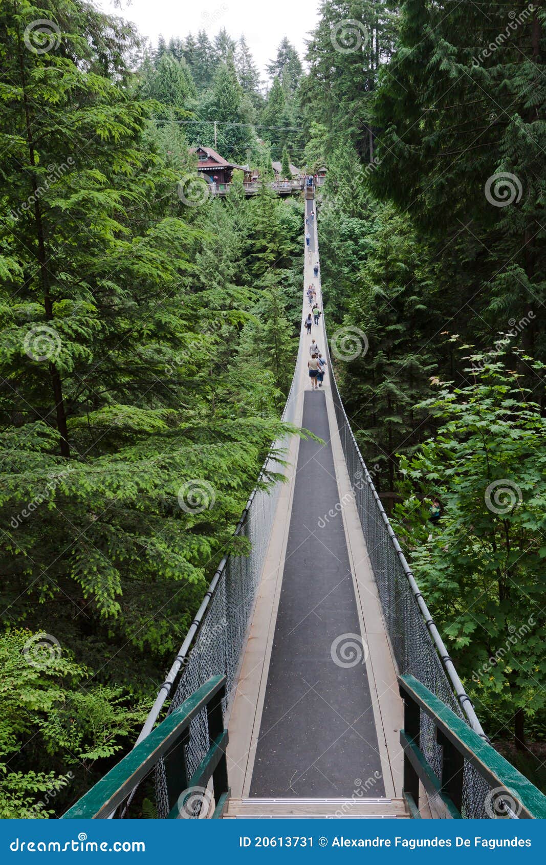 Capilano Bridge in Vancouver Stock Image - Image of british, vancouver ...