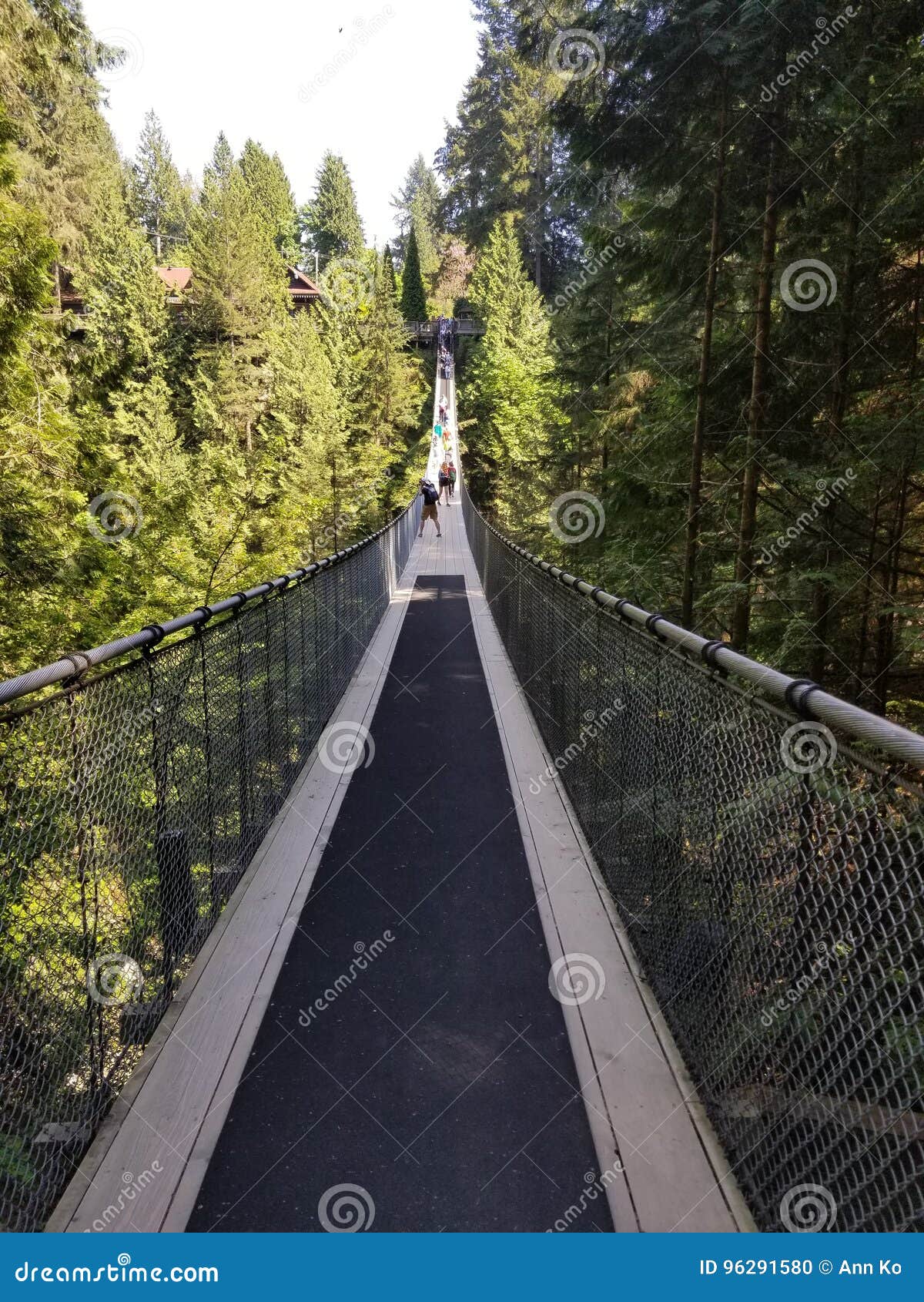 Capilano Bridge Park Editorial Image | CartoonDealer.com #19681406