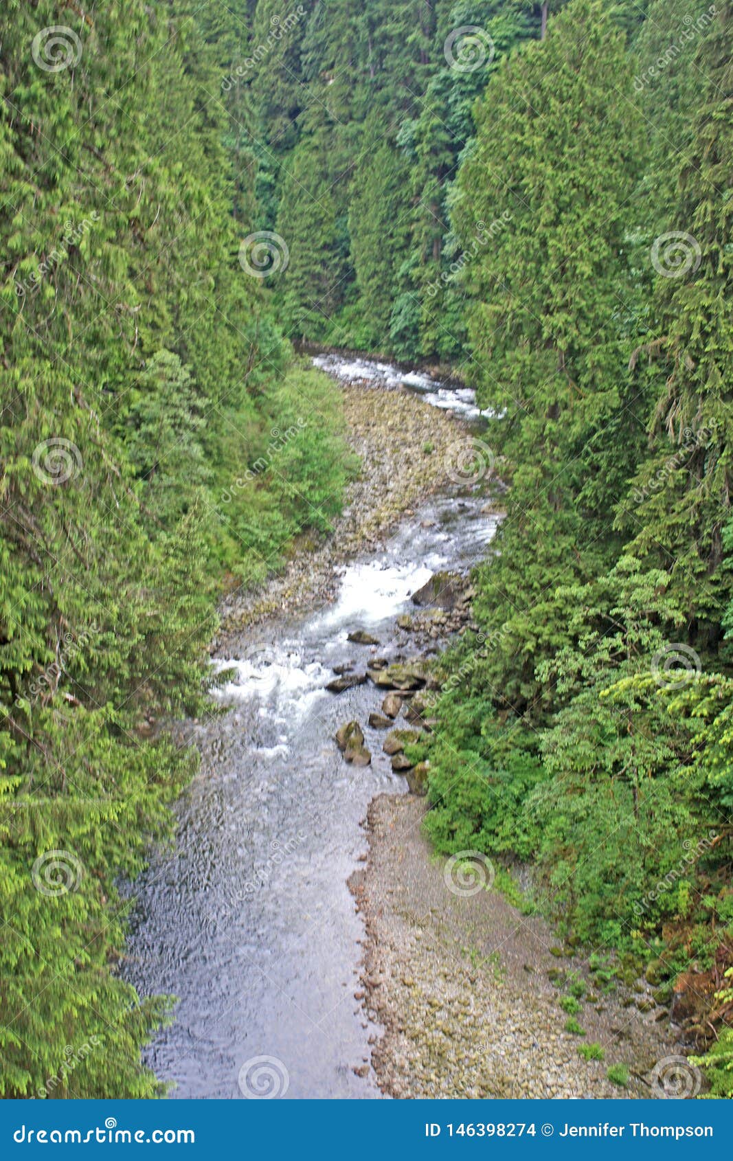 Capilano river, Canada stock photo. Image of stream - 146398274