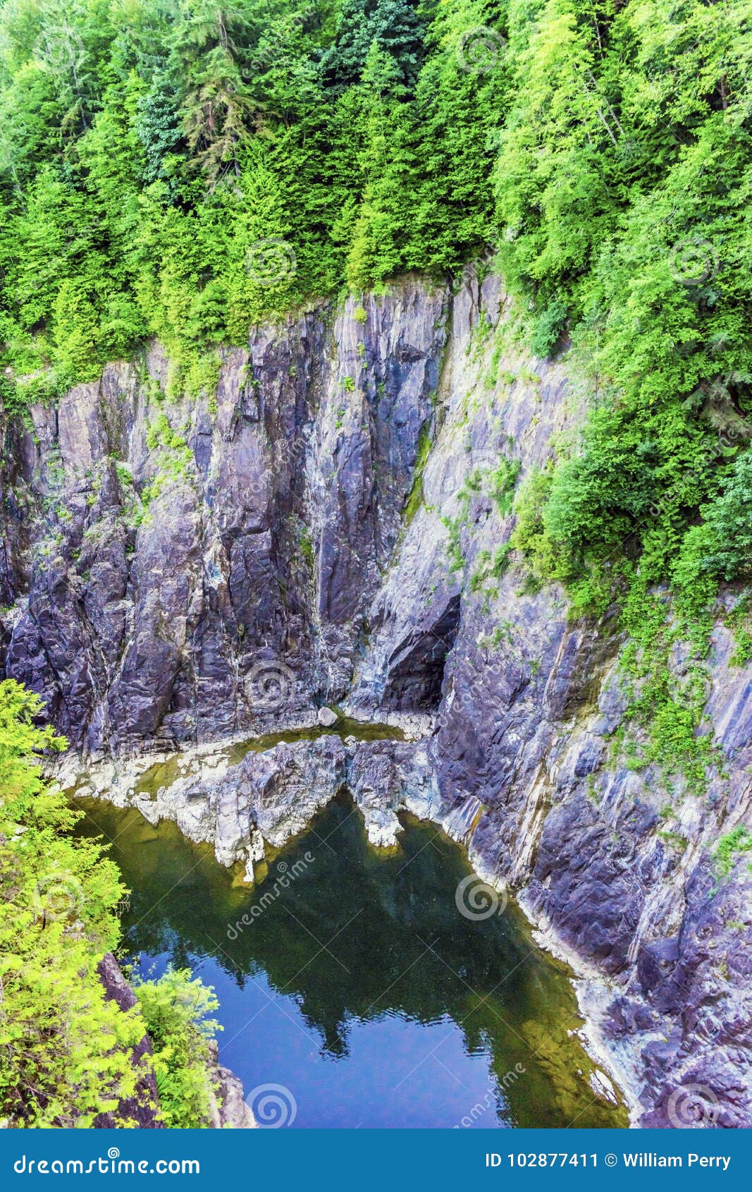 Capilano River Chasm Cliffs Vancouver British Columbia Canada Stock ...