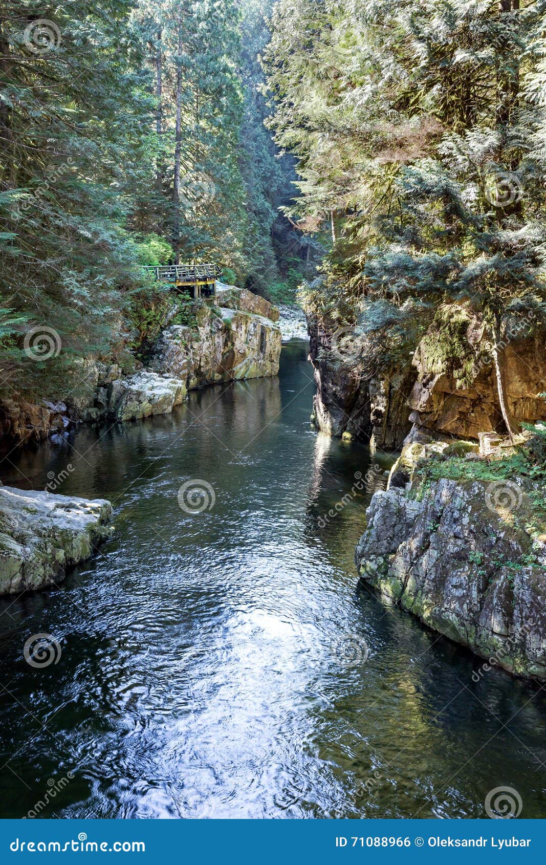 Capilano River stock photo. Image of travel, riverbank - 71088966