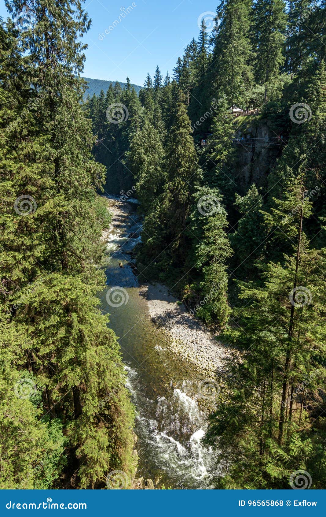 Capilano River on Sunny Day Stock Photo - Image of sunny, background ...