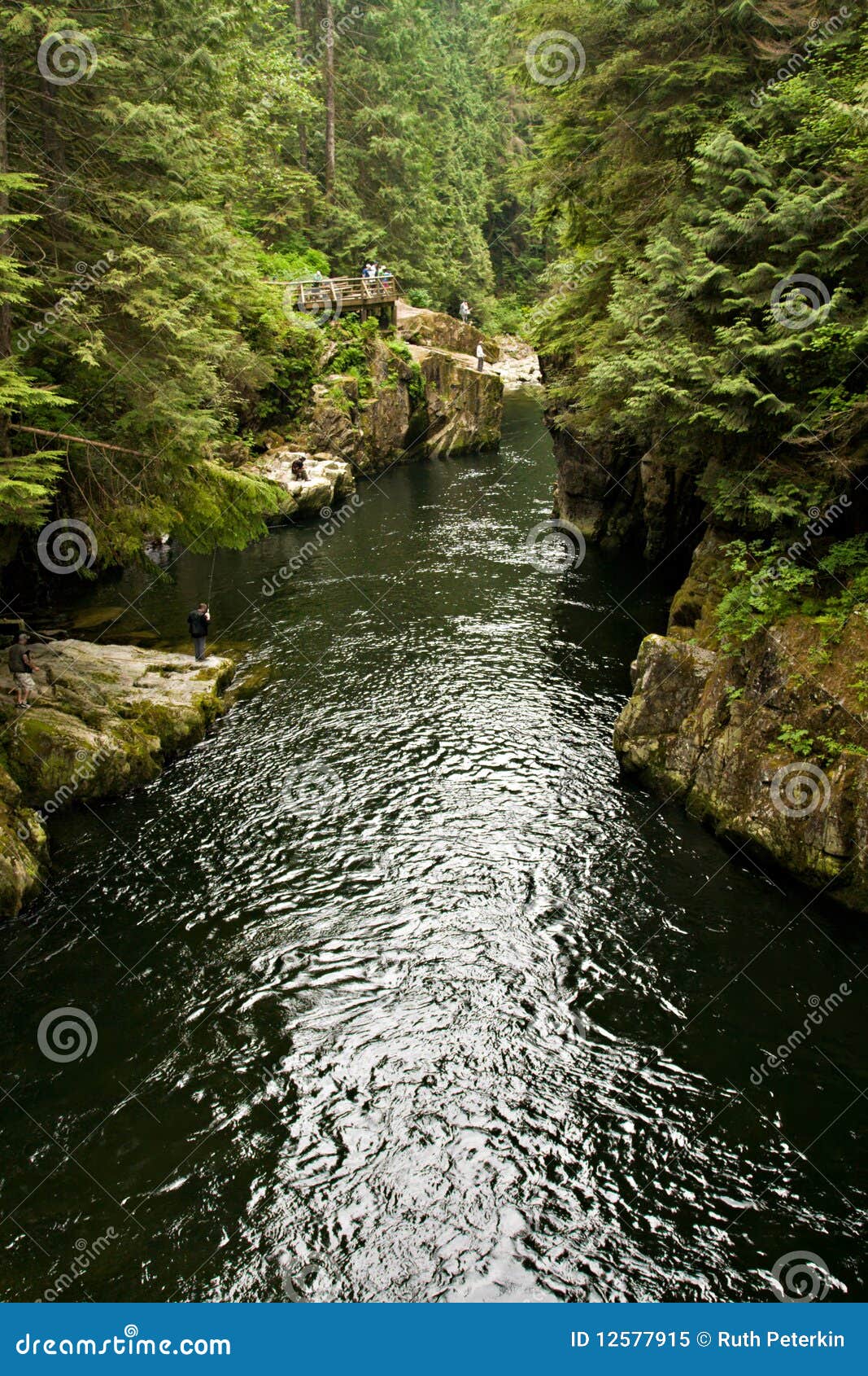 Capilano River, Vancouver, Canada Stock Image - Image of capilano, park ...