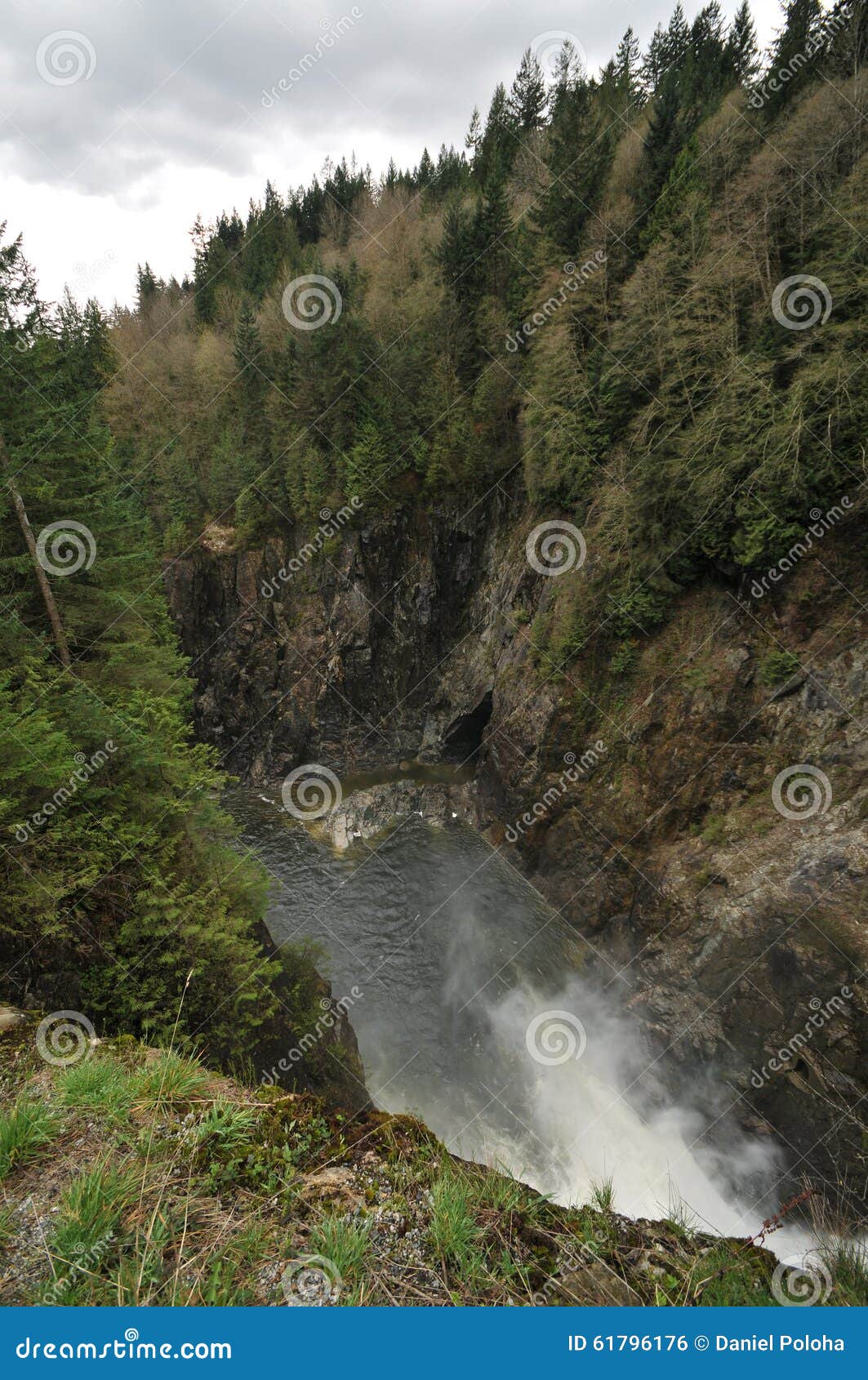 Capilano river stock photo. Image of wood, river, white - 61796176