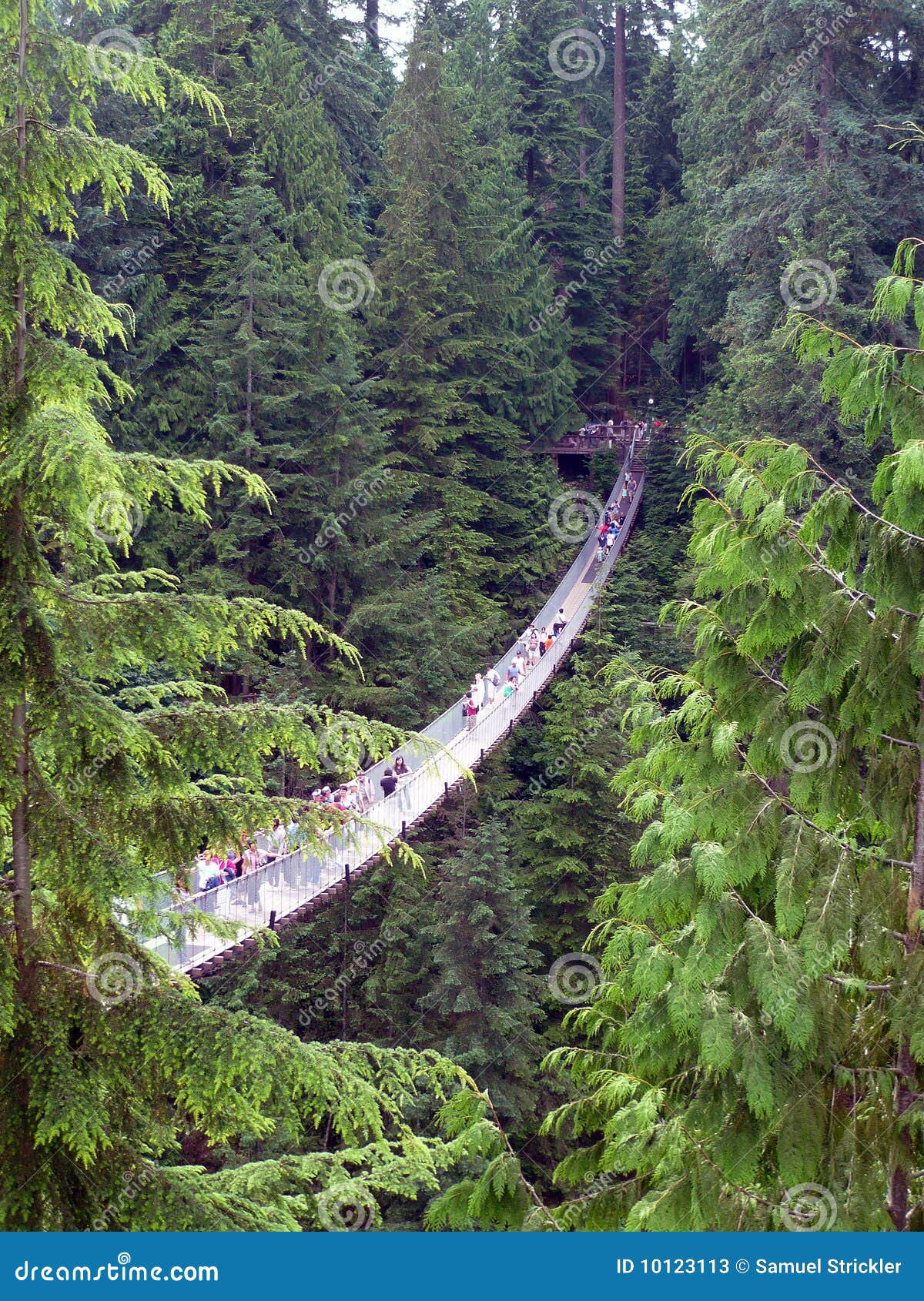 Capilano Suspension Bridge Stock Photography | CartoonDealer.com #35915078