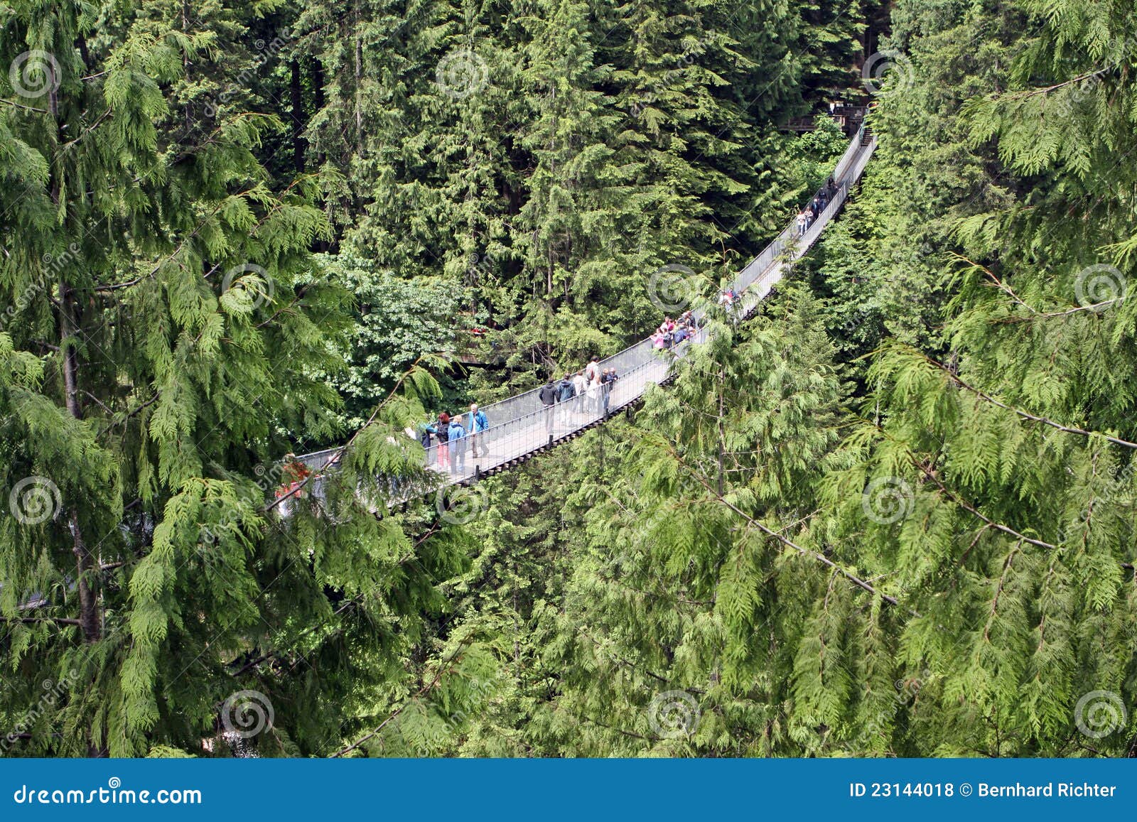 Capilano Suspension Bridge Stock Photography | CartoonDealer.com #35915078